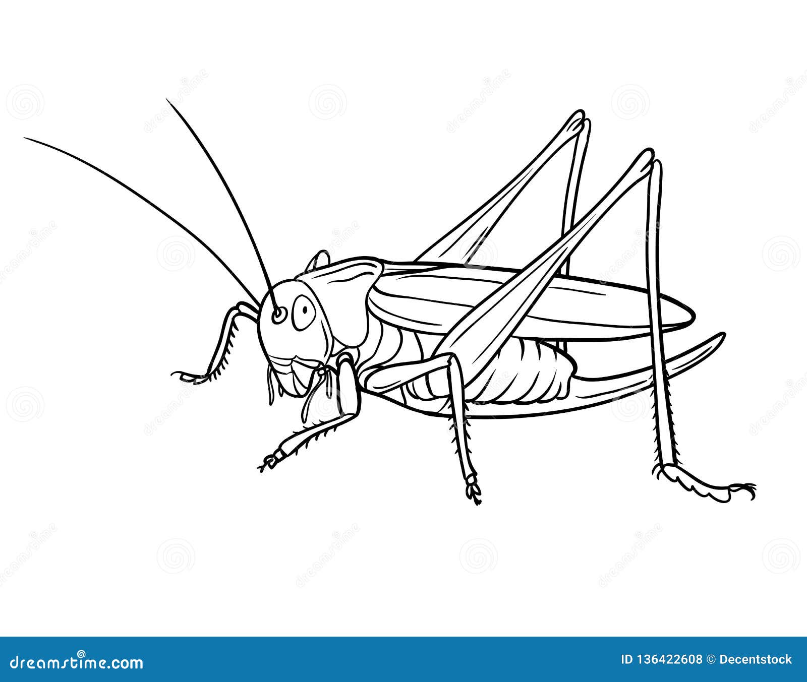 Grasshopper, Graphic. Drawn in Line Stock Vector - Illustration of hand ...