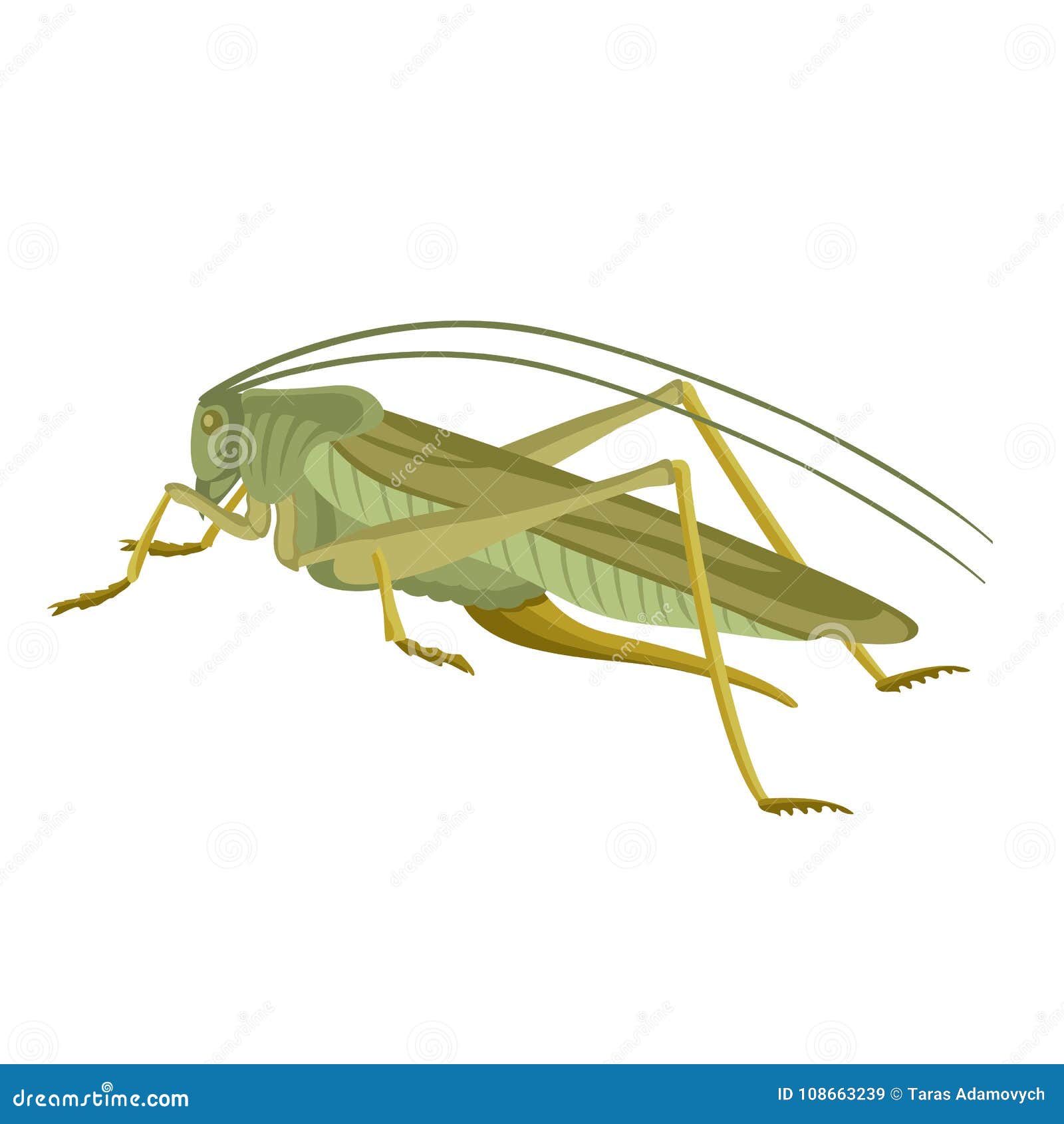 Grasshopper, Side View,. Silhouette Of Grasshopper Vector Illustration ...