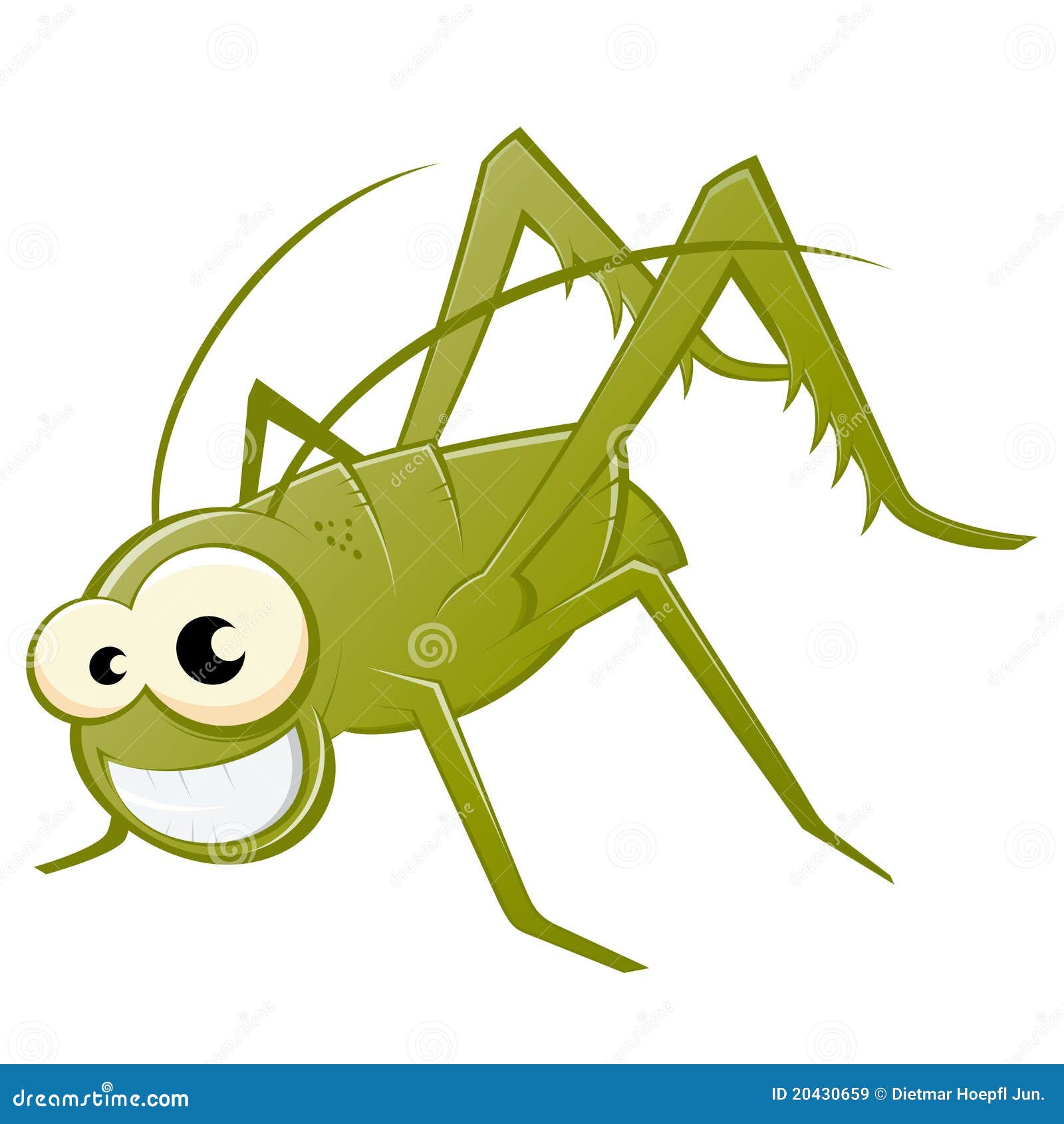 Grasshopper Carapace