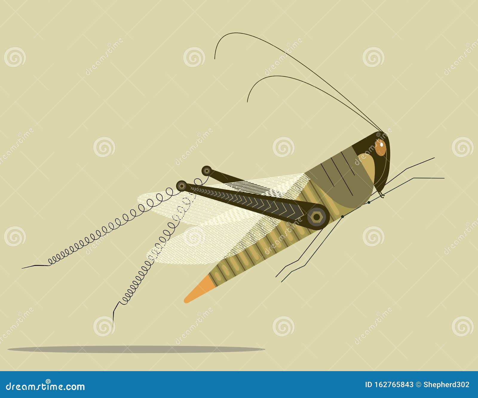 Grasshopper jump stock vector. Illustration of vector - 162765843