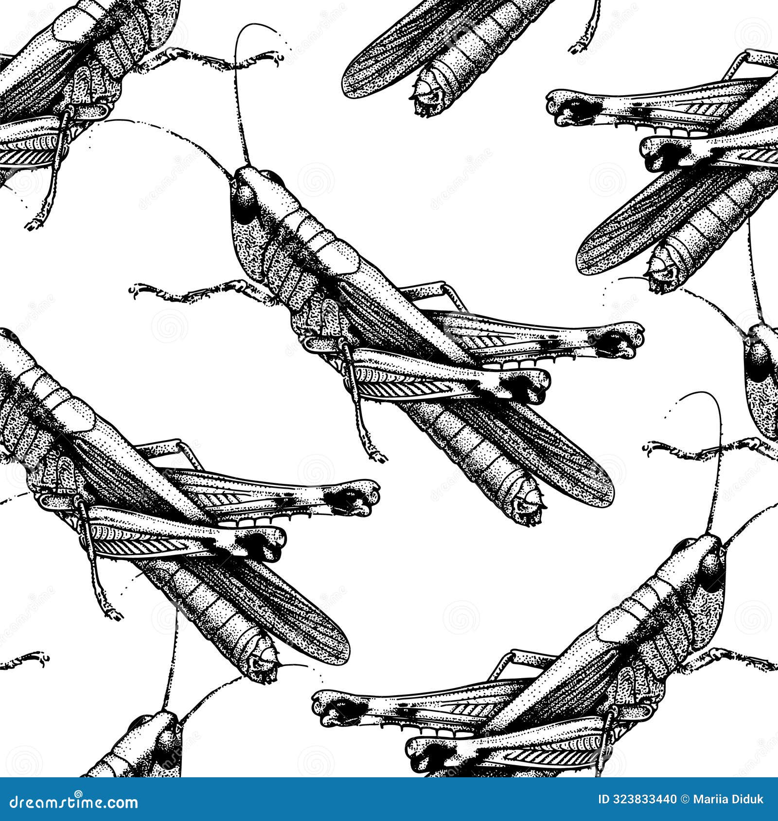 Grasshopper, Locust, Insect, Seamless Pattern. Engraving Vector ...