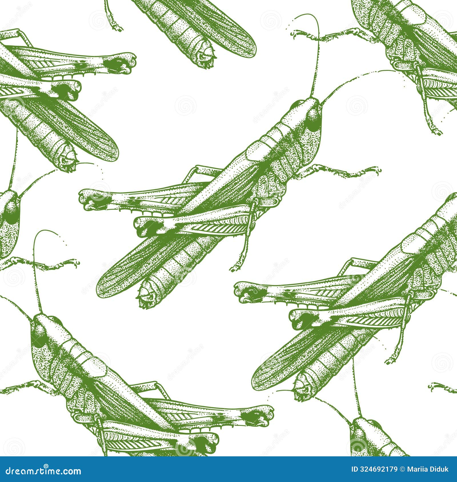 Grasshopper, Locust, Insect, Seamless Pattern. Engraving Vector ...