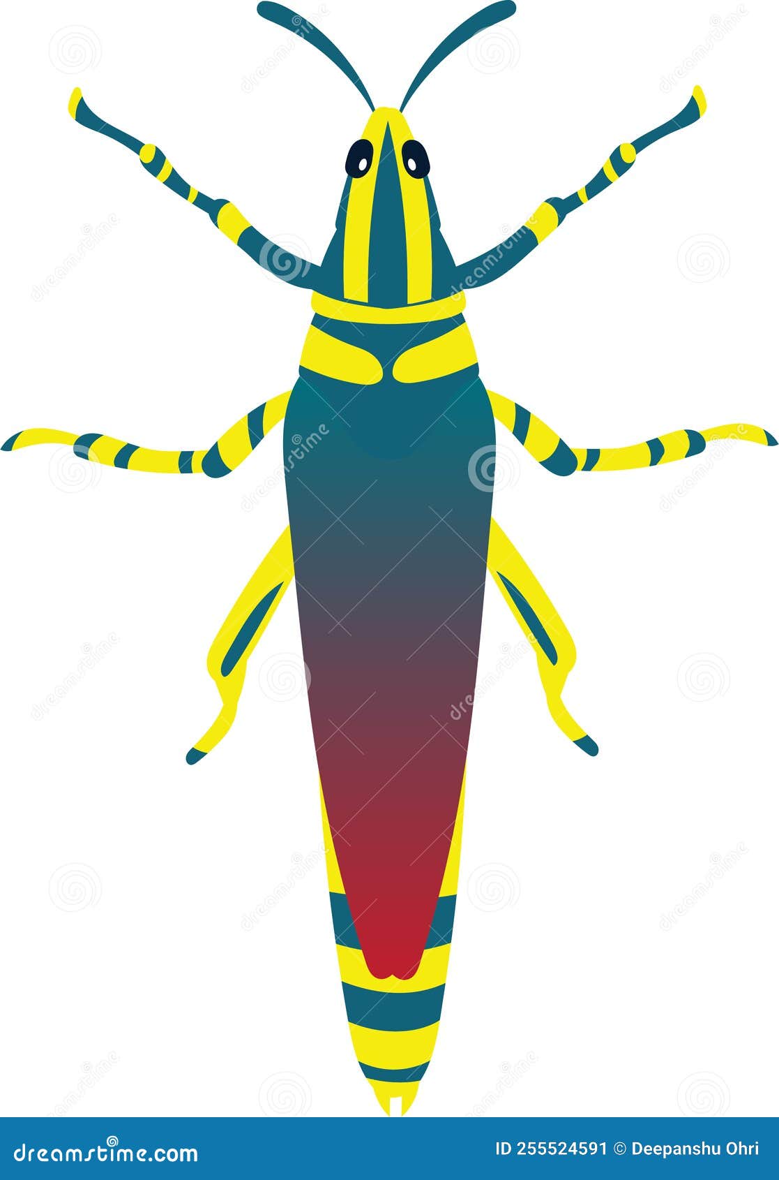 Locust. Vector Illustration Isolated On White Background ...