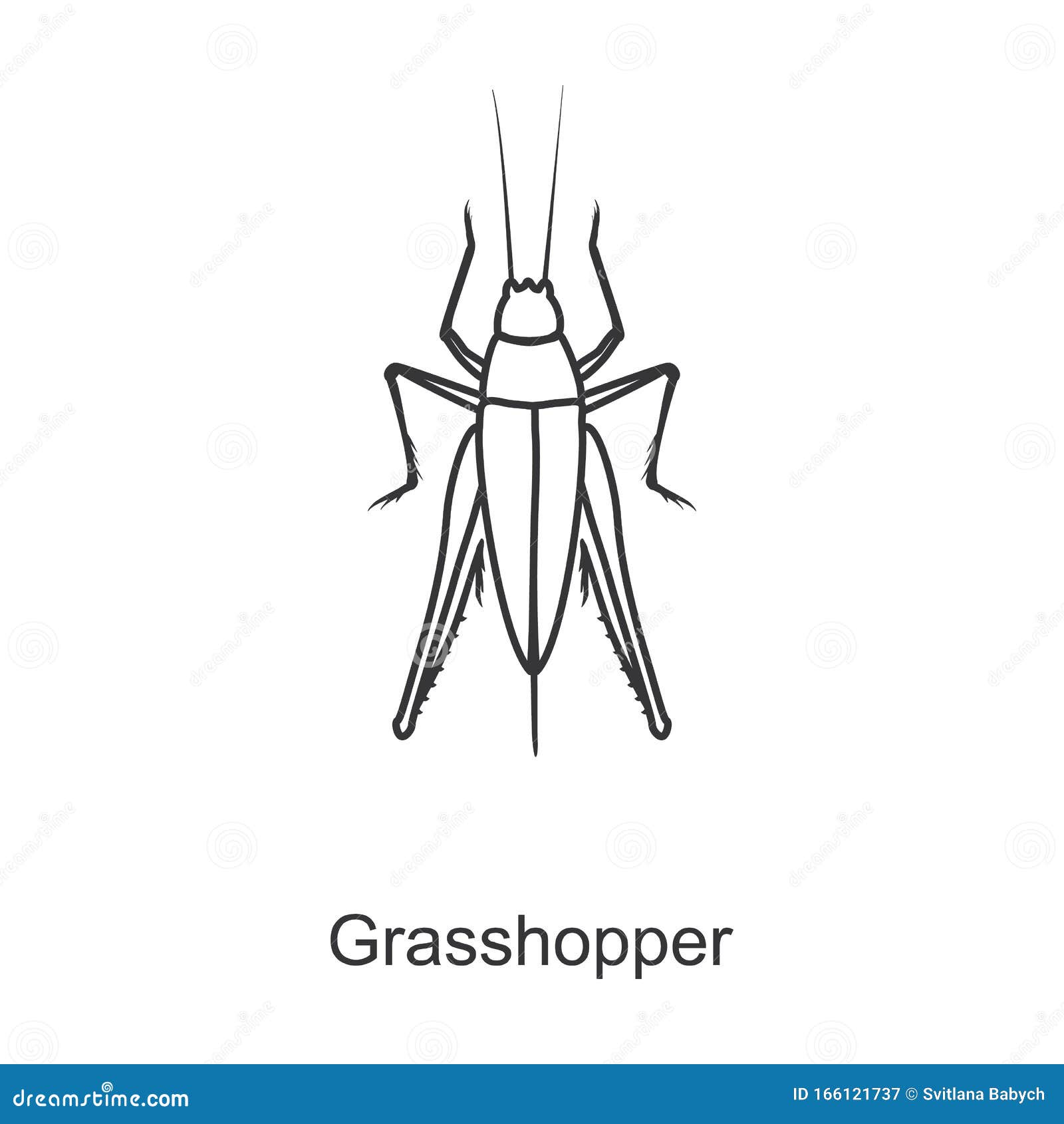 Grasshopper (vector Clip-art) | CartoonDealer.com #3279391 Grasshopper (vector Clip-art) | CartoonDealer.com #3279391