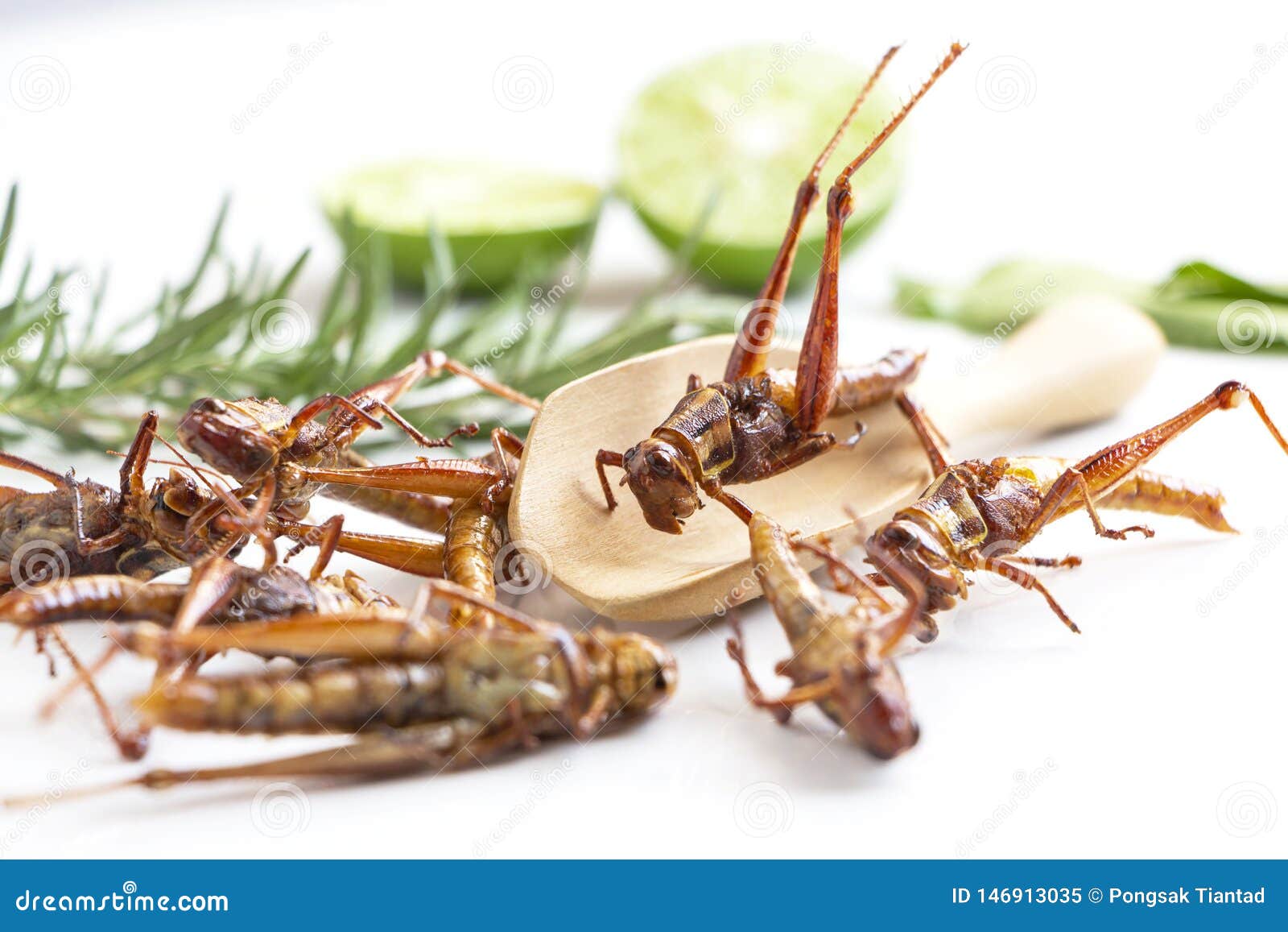 Grasshoppers or Locust with Lime on the White Table. the Concept of ...