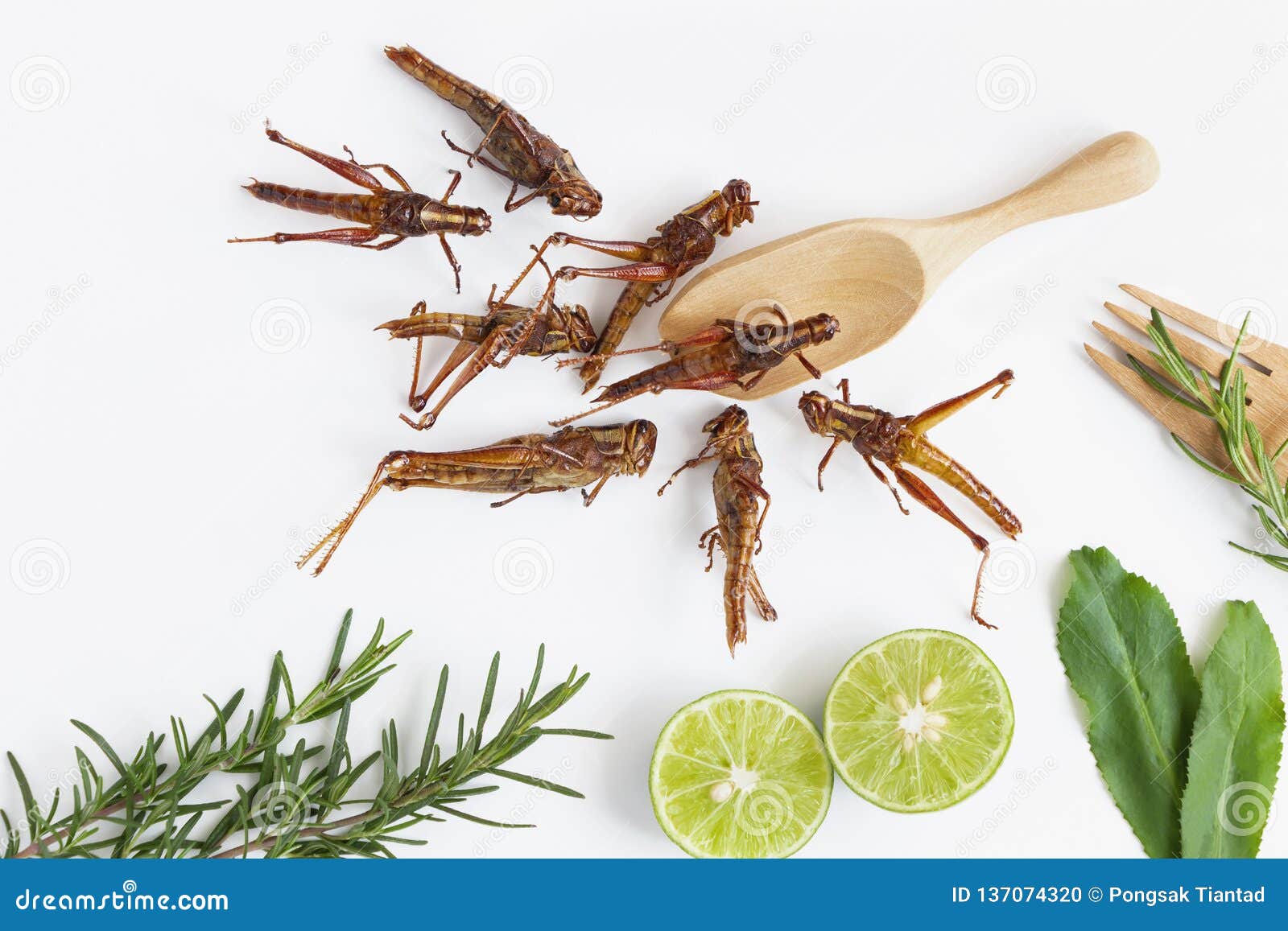 Grasshoppers or Locust on the White Table. the Concept of Protein Food ...