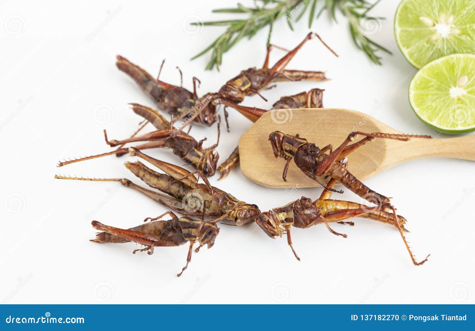 Grasshoppers or Locust on the White Table. the Concept of Protein Food ...
