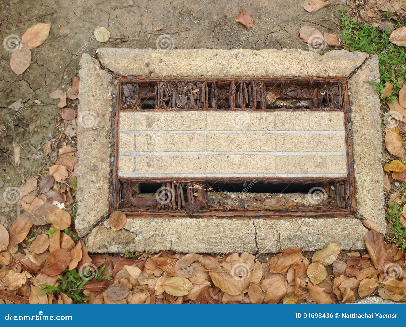 Grassing Drain Cap in the Park Stock Photo - Image of sewage, iron ...