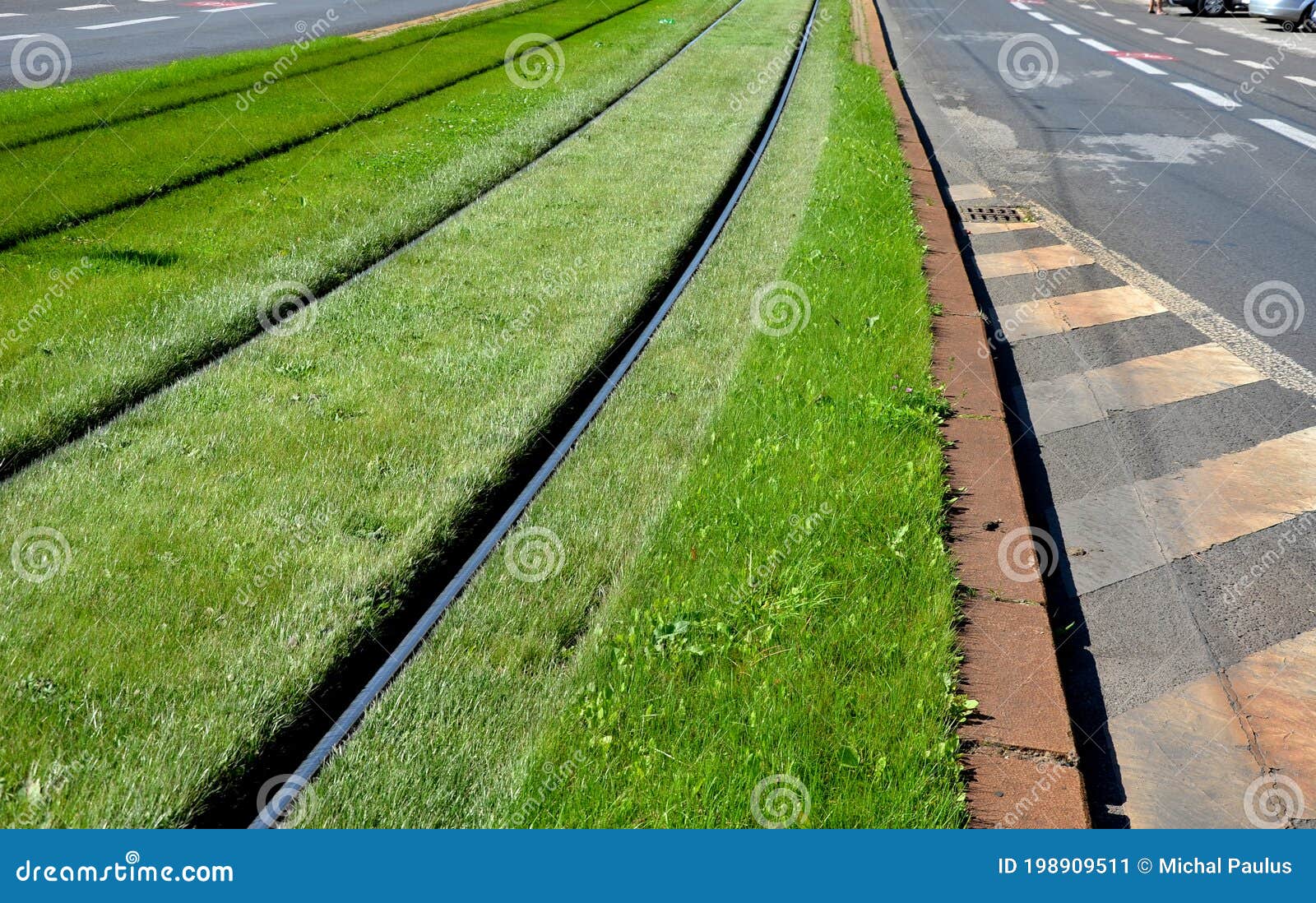 Grassing of Train Tracks between Tram Tracks in the City. Part of it is ...