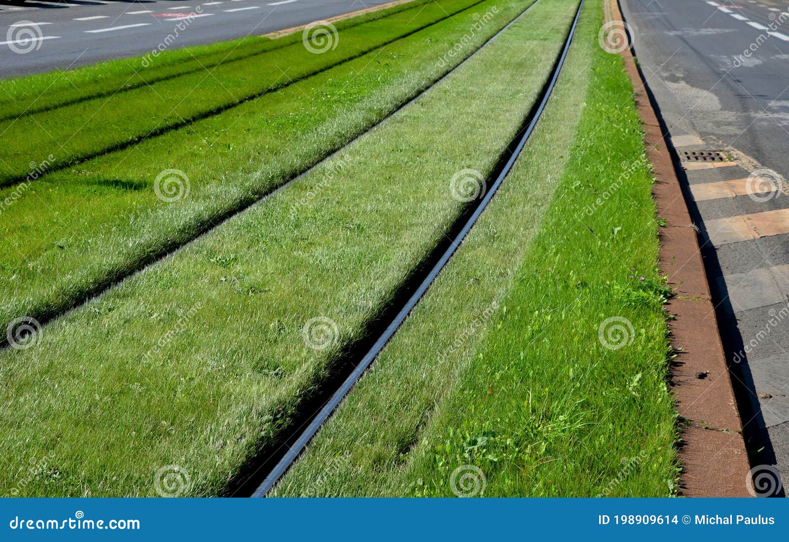 Grassing of Train Tracks between Tram Tracks in the City. Part of it is ...