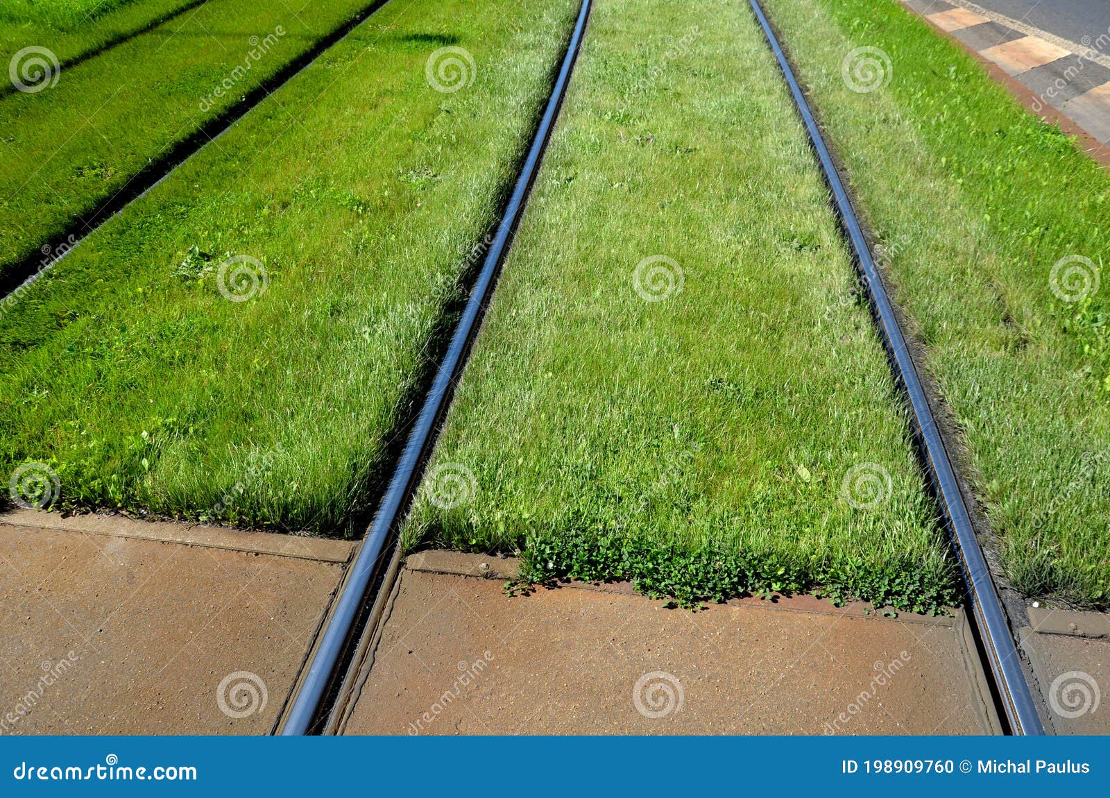 Grassing of Train Tracks between Tram Tracks in the City. Part of it is ...