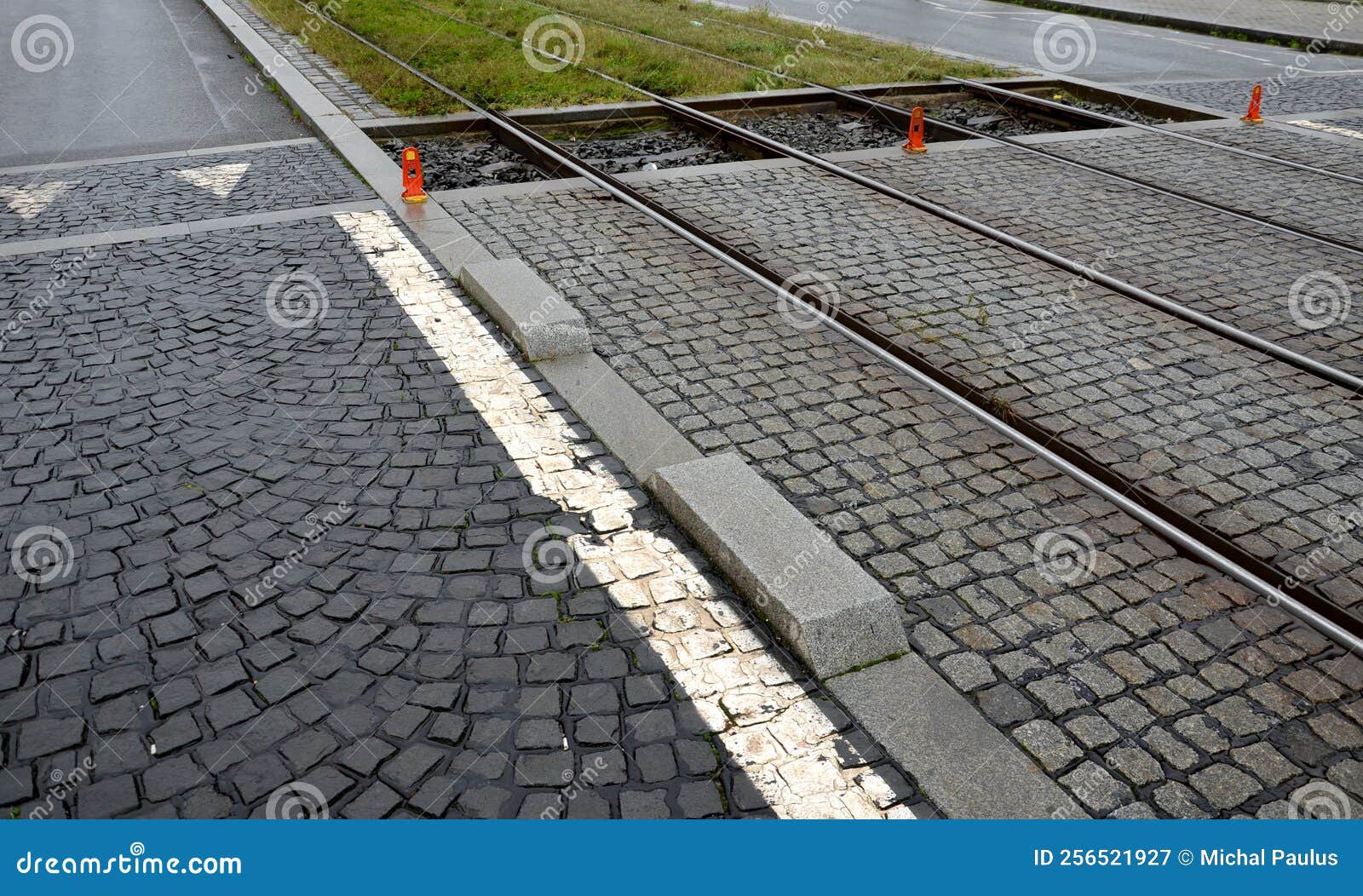 Grassing of Train Tracks between Tram Tracks in the City. Stock Image ...