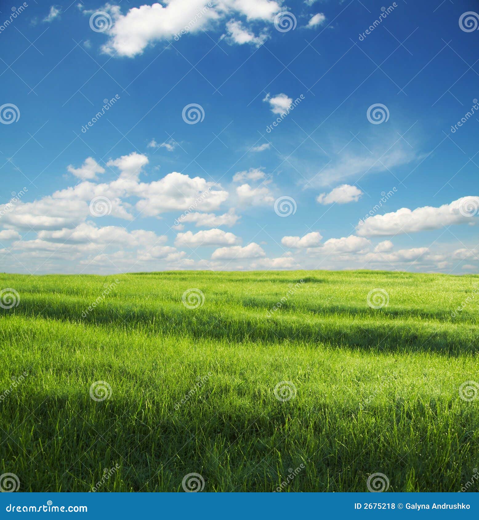 Grassland stock photo. Image of country, freshness, grassland - 2675218