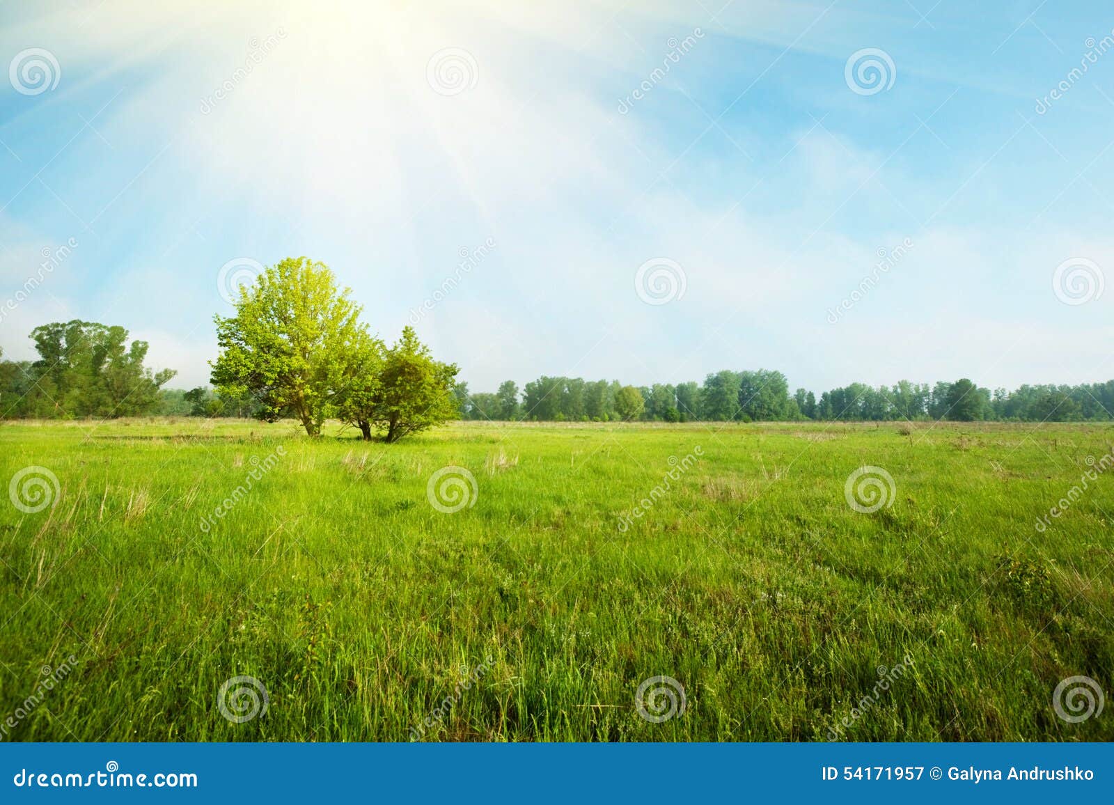Grassland stock image. Image of meadow, land, clouds - 54171957