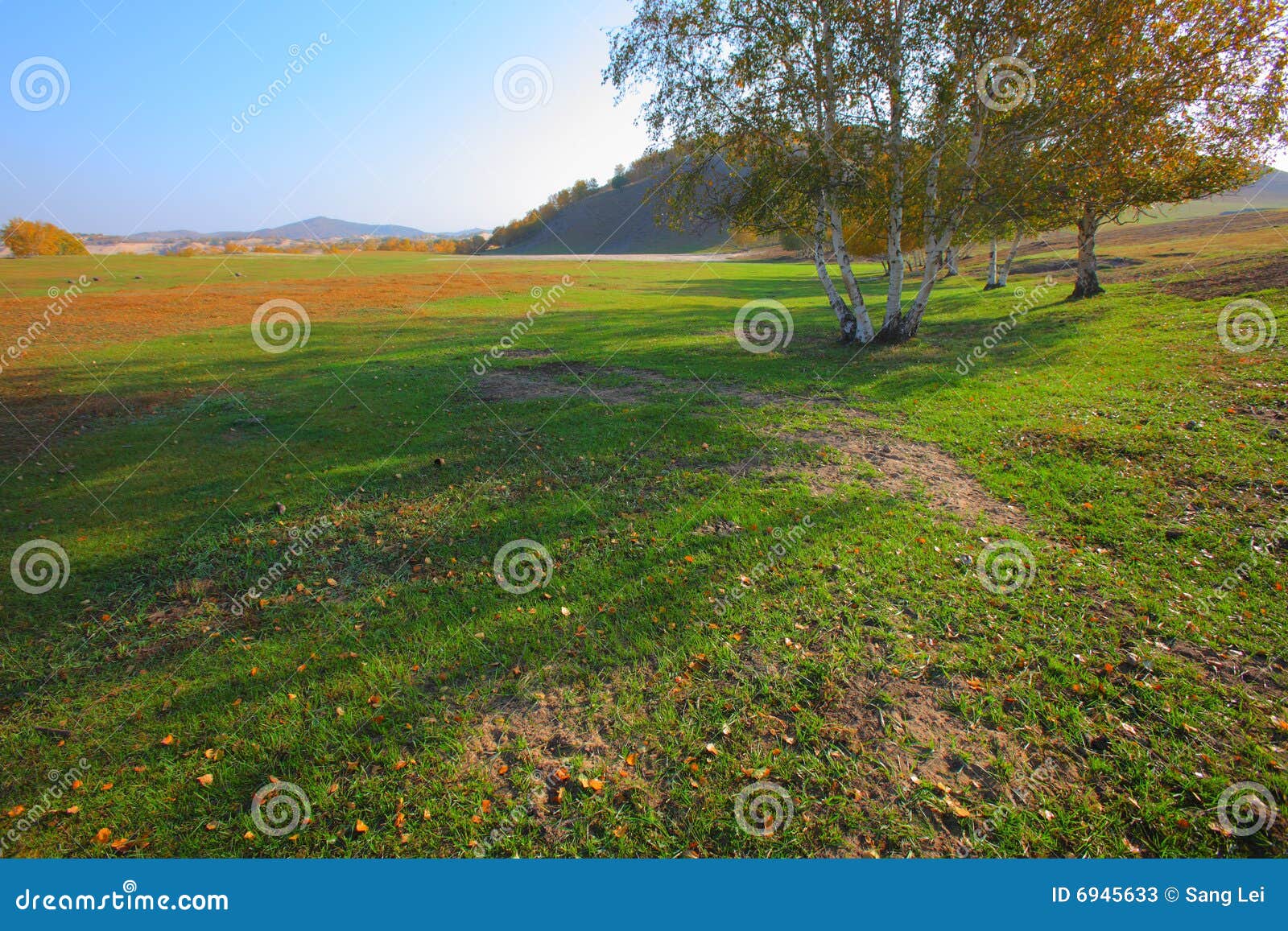 Grassland stock image. Image of colorful, landscapes, leaves - 6945633