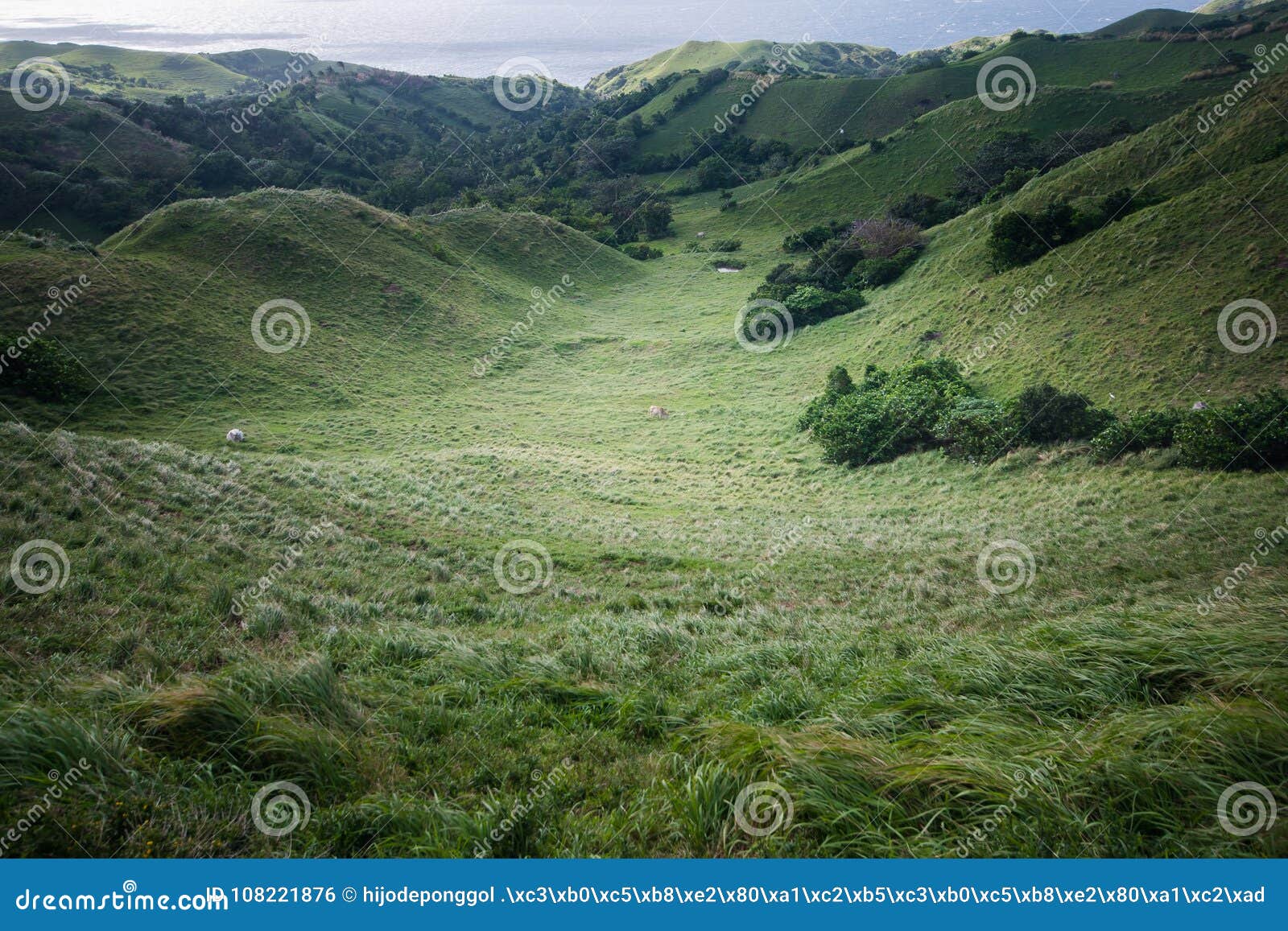 Grassland of Batanes, Philippines Stock Photo - Image of field, amazing ...