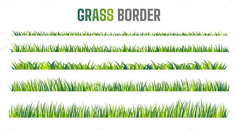 Grassland Border Vector Pattern Green Lawn in Spring the Concept of ...