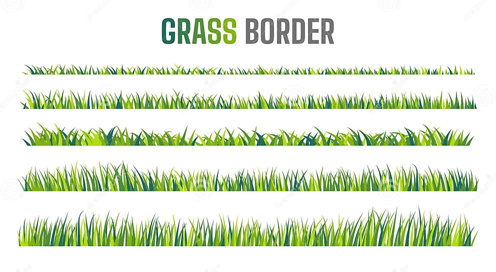 Grassland Border Vector Pattern Green Lawn in Spring the Concept of ...