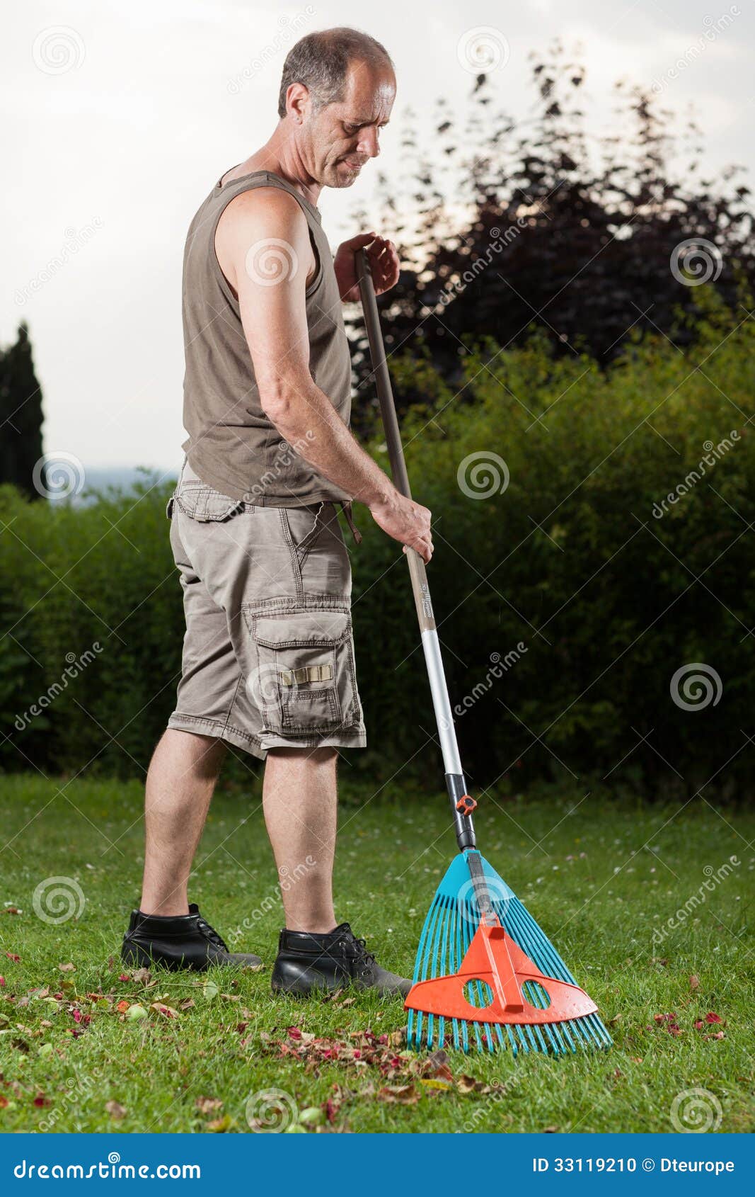 Grassland cleaning stock photo. Image of nature, flower - 33119210