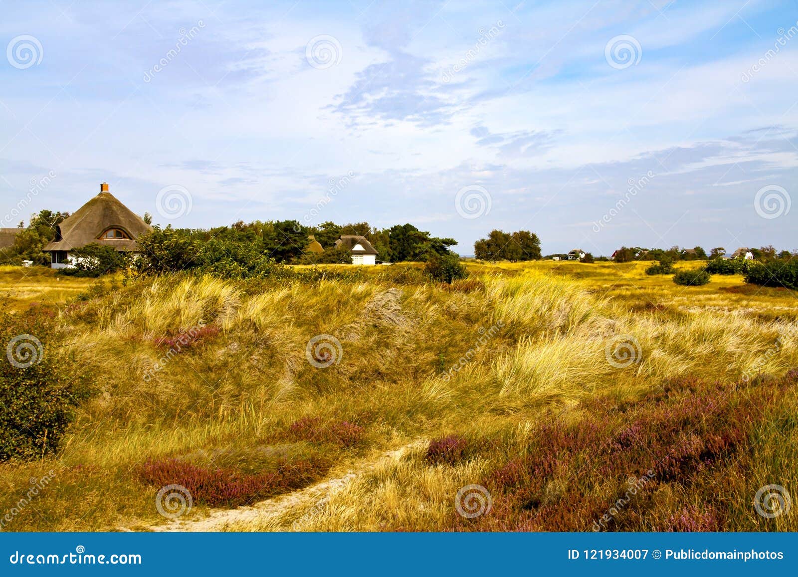Grassland, Ecosystem, Prairie, Sky Picture. Image: 121934007