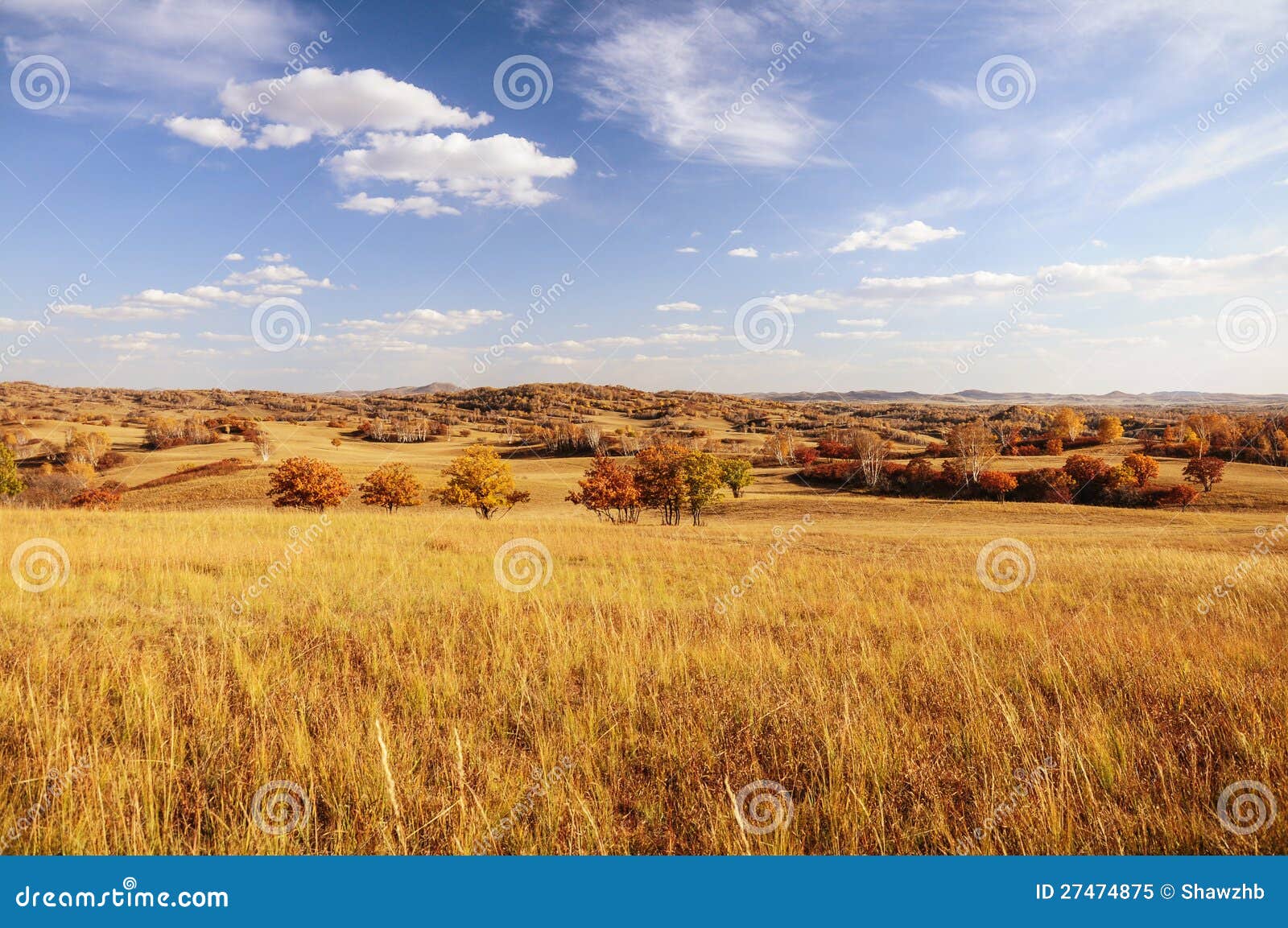 Grassland in the fall stock image. Image of autumn, lake - 27474875