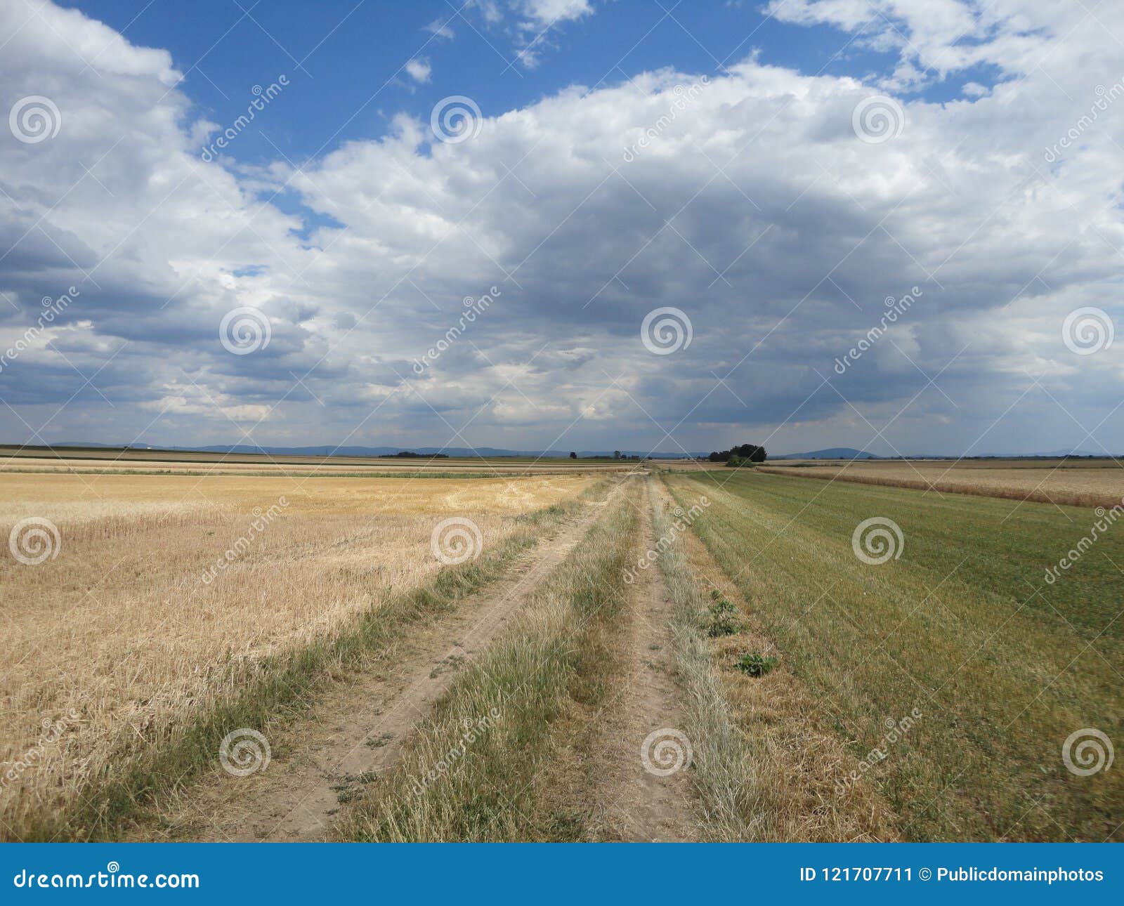 Grassland, Field, Plain, Ecosystem Picture. Image: 121707711
