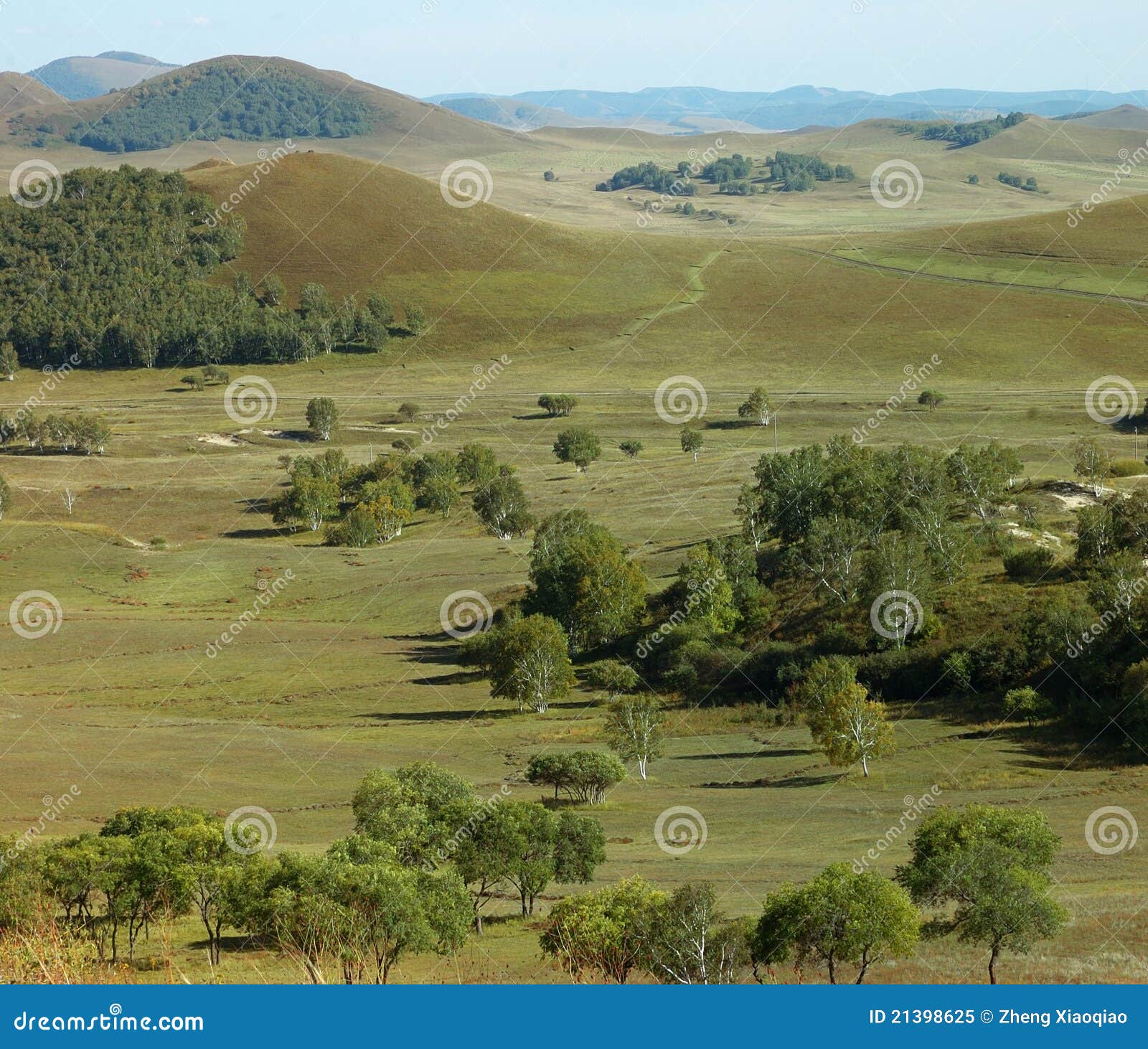 Grassland landscape stock image. Image of autumn, endless - 21398625