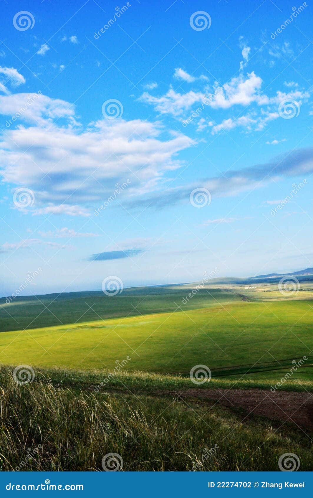 Grassland landscape stock photo. Image of sunny, meadows - 22274702