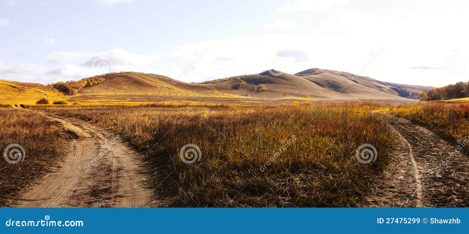Grassland landscape stock image. Image of tree, leaves - 27475299