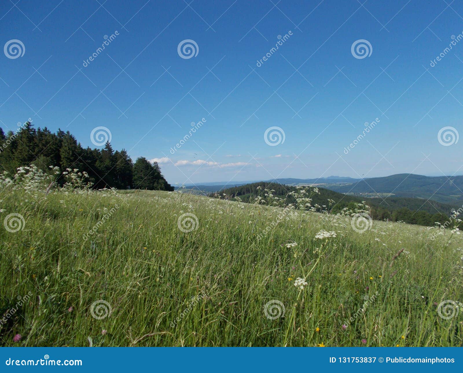 Grassland, Meadow, Sky, Ecosystem Picture. Image: 131753837