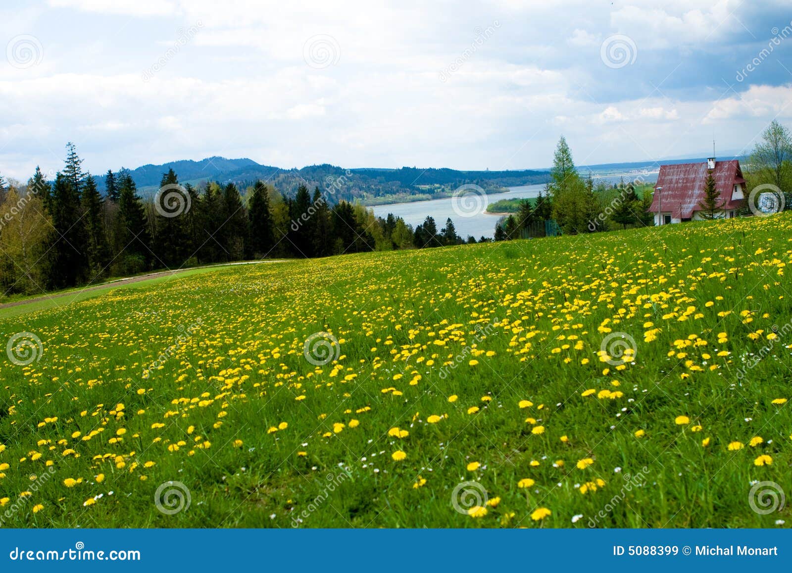 Grassland, Niedzica, Poland Stock Image - Image of yellow, trees: 5088399
