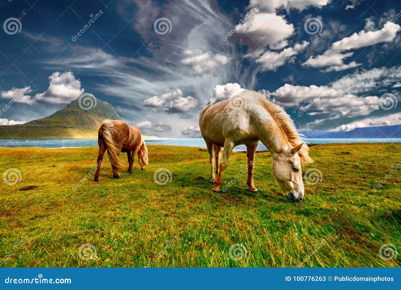 Grassland, Pasture, Ecosystem, Grazing Picture. Image: 100776263