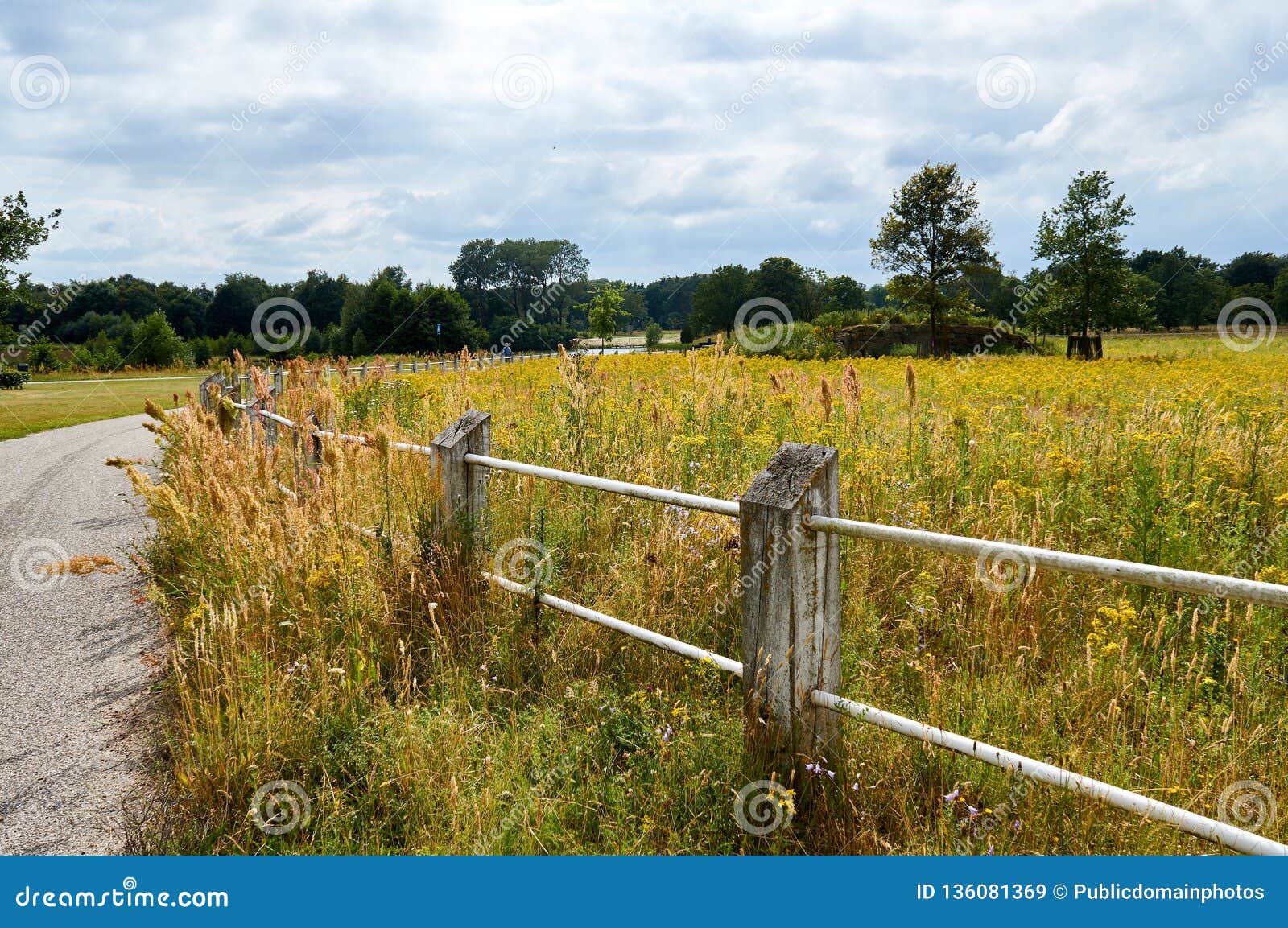 Grassland, Pasture, Field, Nature Reserve Picture. Image: 136081369
