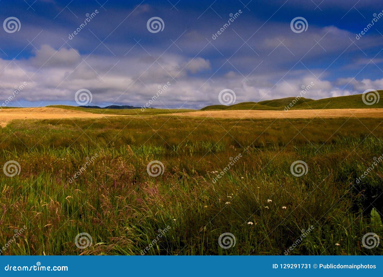 Grassland, Prairie, Ecosystem, Sky Picture. Image: 129291731
