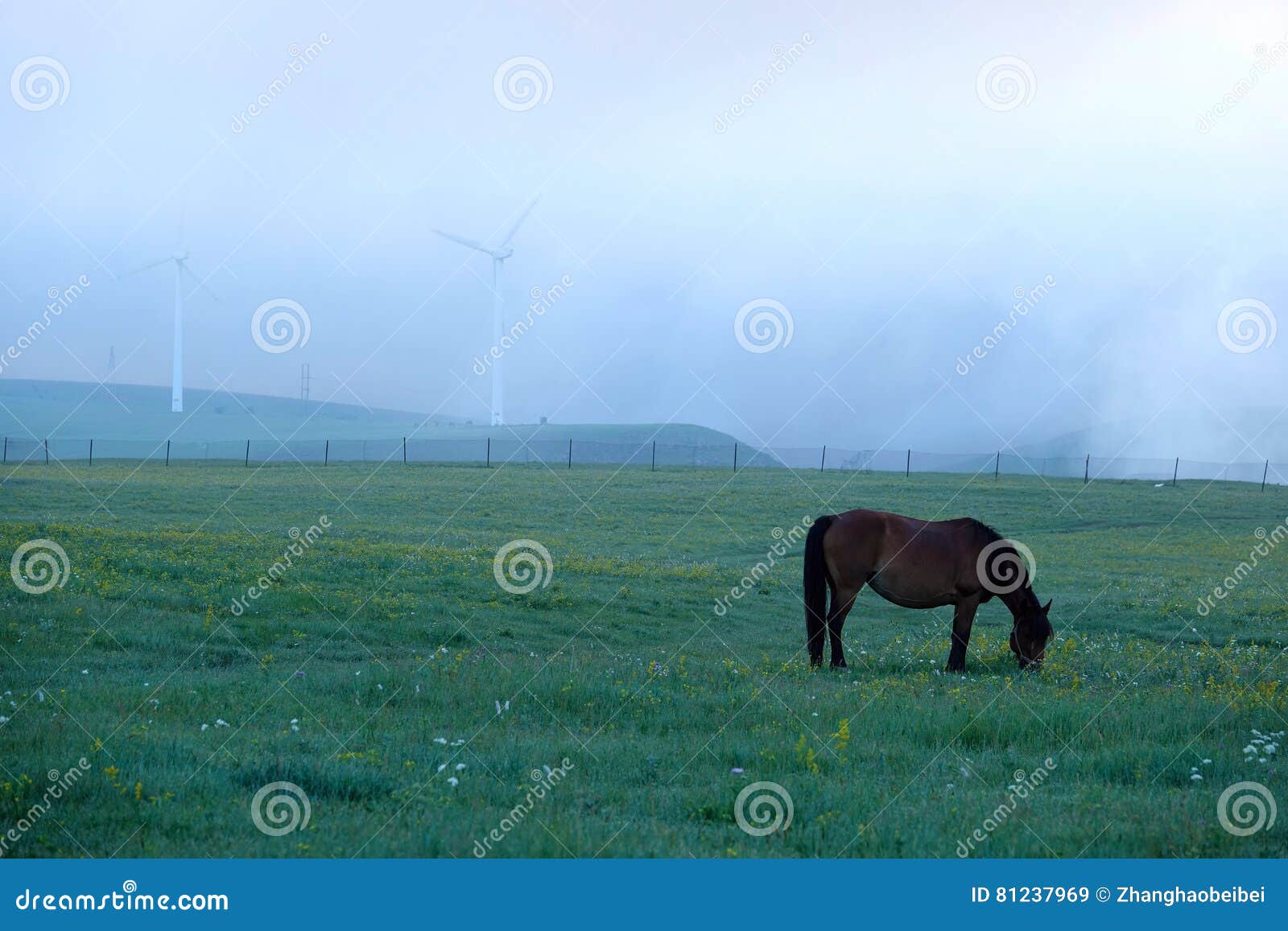 Grassland scene stock image. Image of scenery, cloud - 81237969