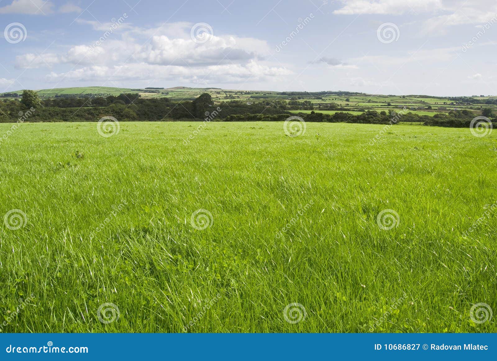 Grassland scenery stock image. Image of blue, scenery - 10686827