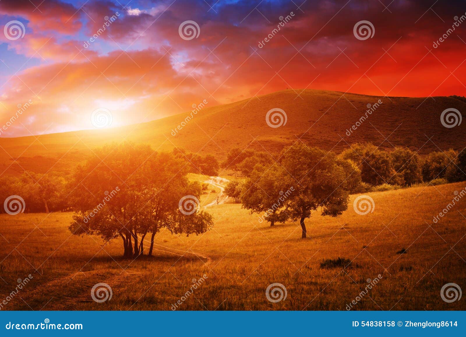 Grassland Scenery at Sunset Stock Photo - Image of sunrise, grassland ...