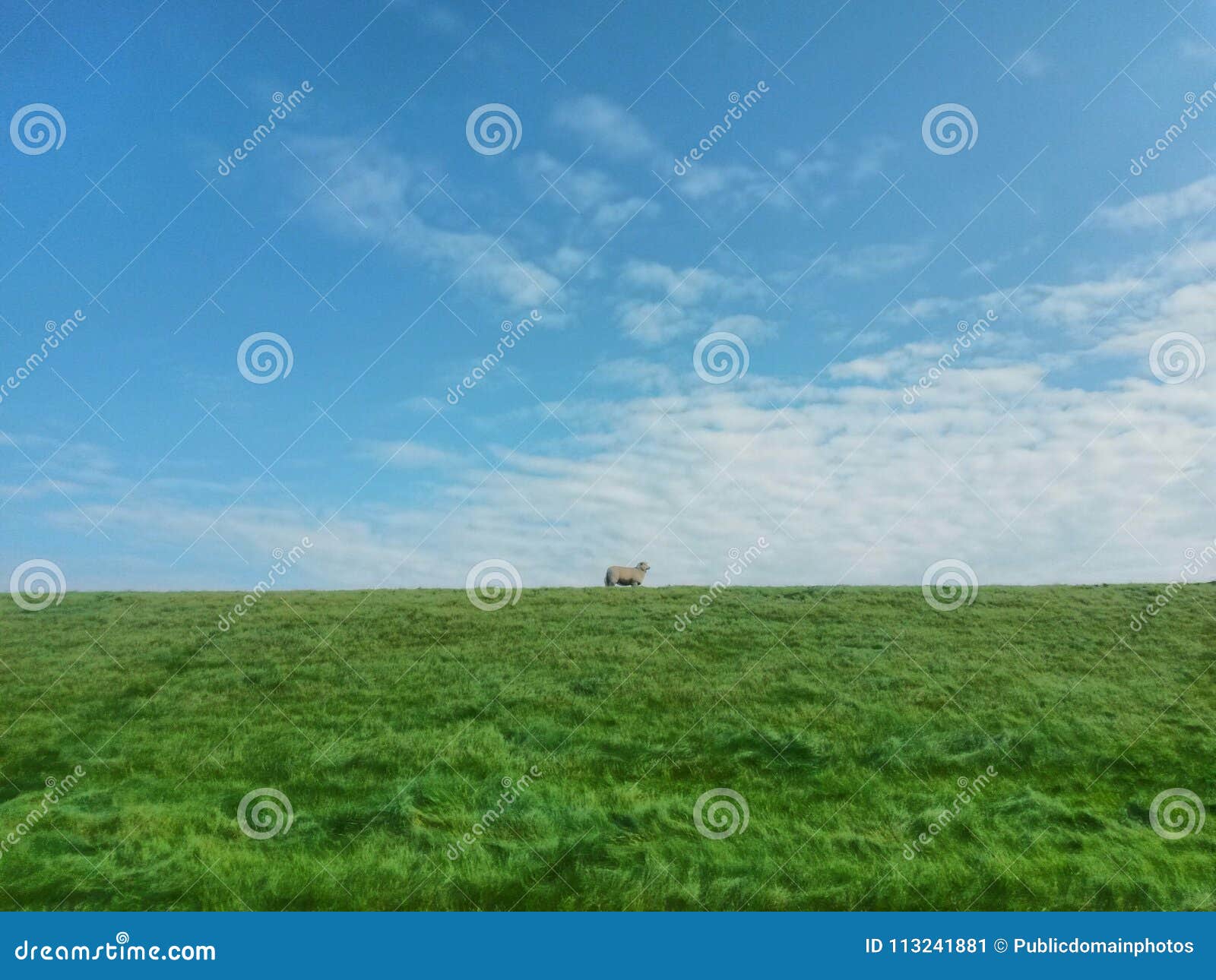 Grassland, Sky, Ecosystem, Prairie Picture. Image: 113241881
