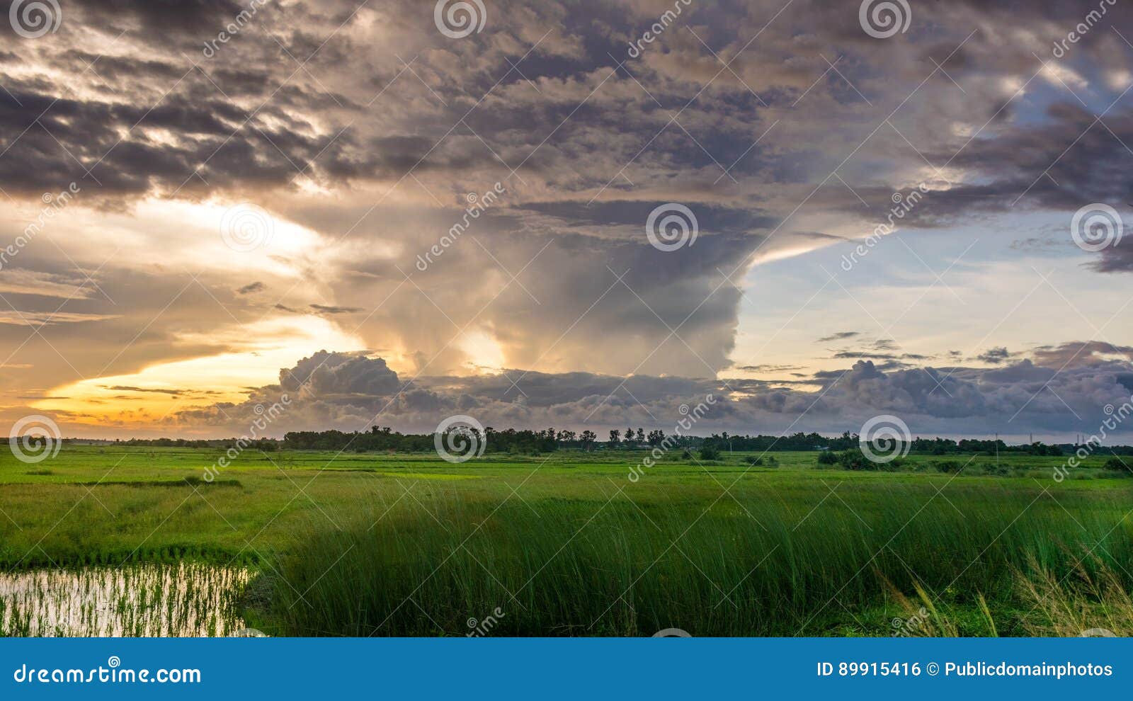 Grassland, Sky, Ecosystem, Prairie Picture. Image: 89915416