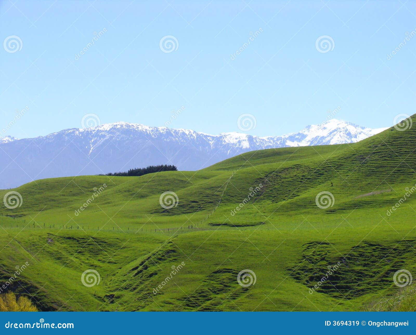 Grassland and Snow Mountain Stock Image - Image of frozen, land: 3694319
