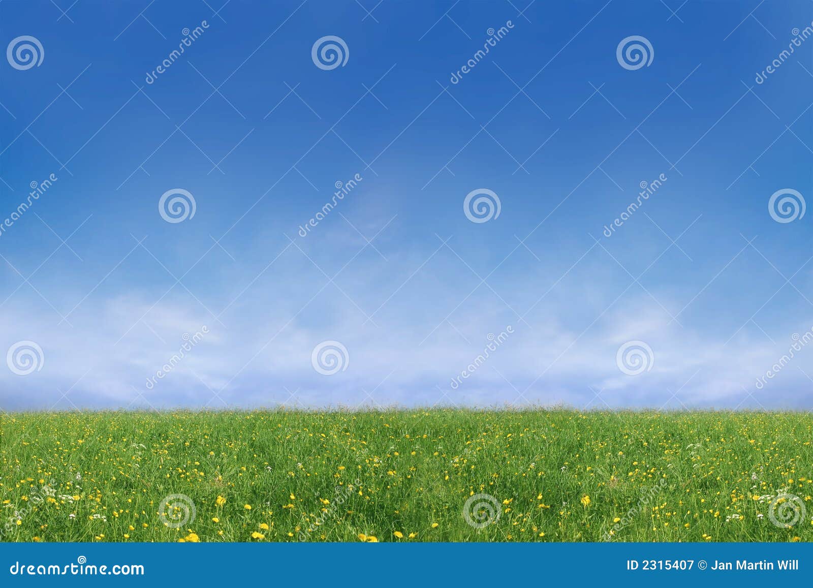 Grassland in spring time stock image. Image of summer - 2315407