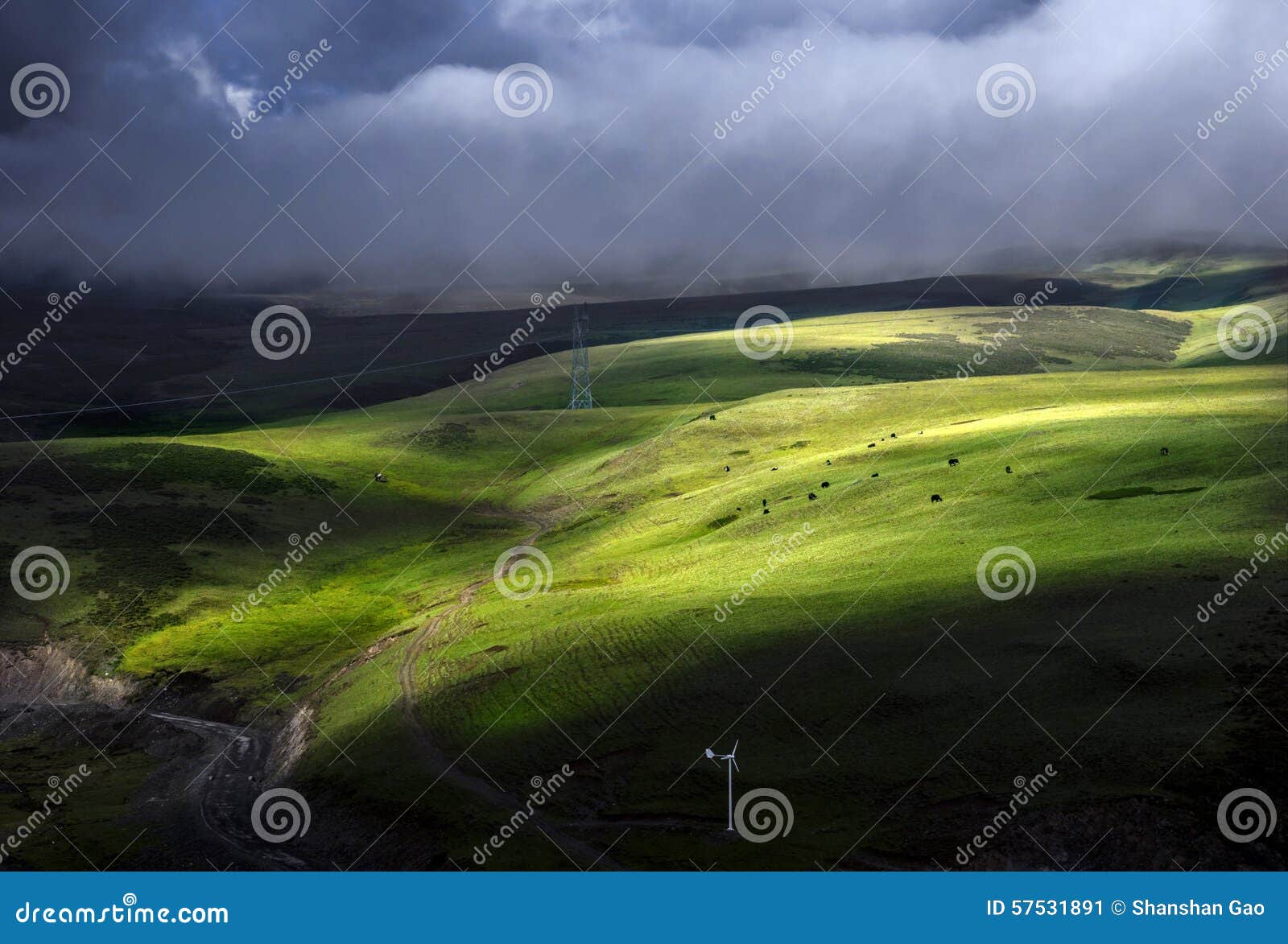 Grassland stock image. Image of undulating, hills, geography - 57531891