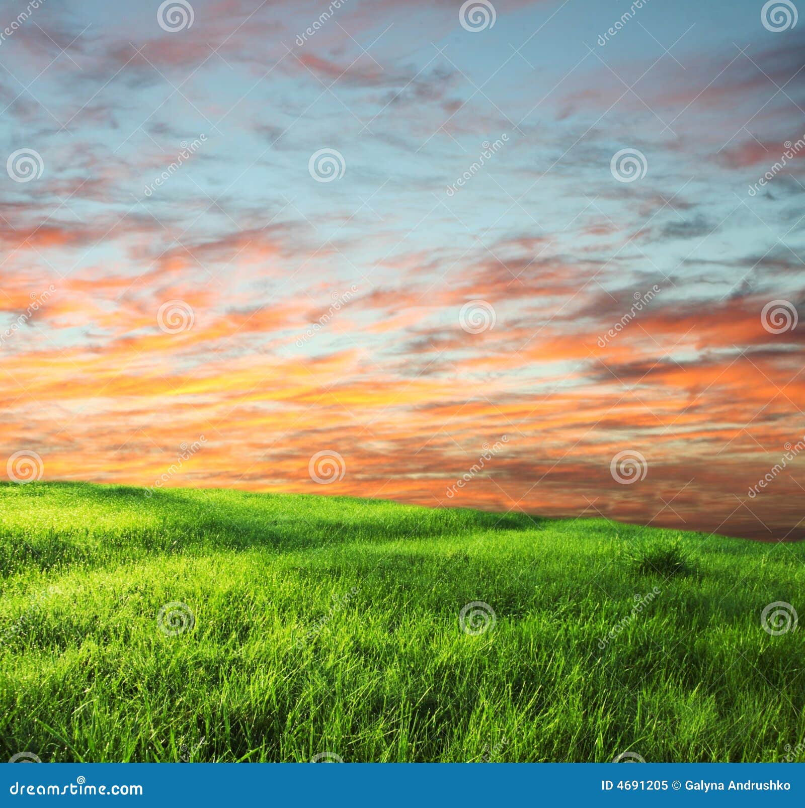 Grassland on sunset stock image. Image of meadow, natural - 4691205