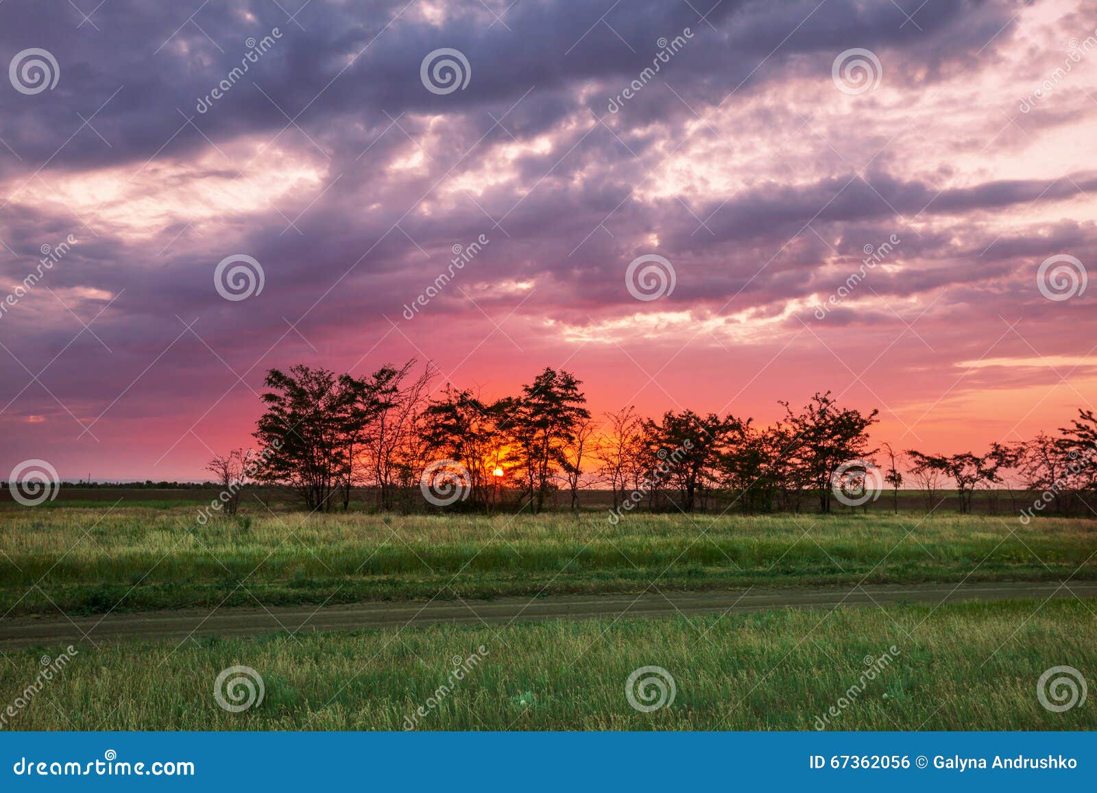 Grassland on sunset stock photo. Image of grassland, green - 67362056