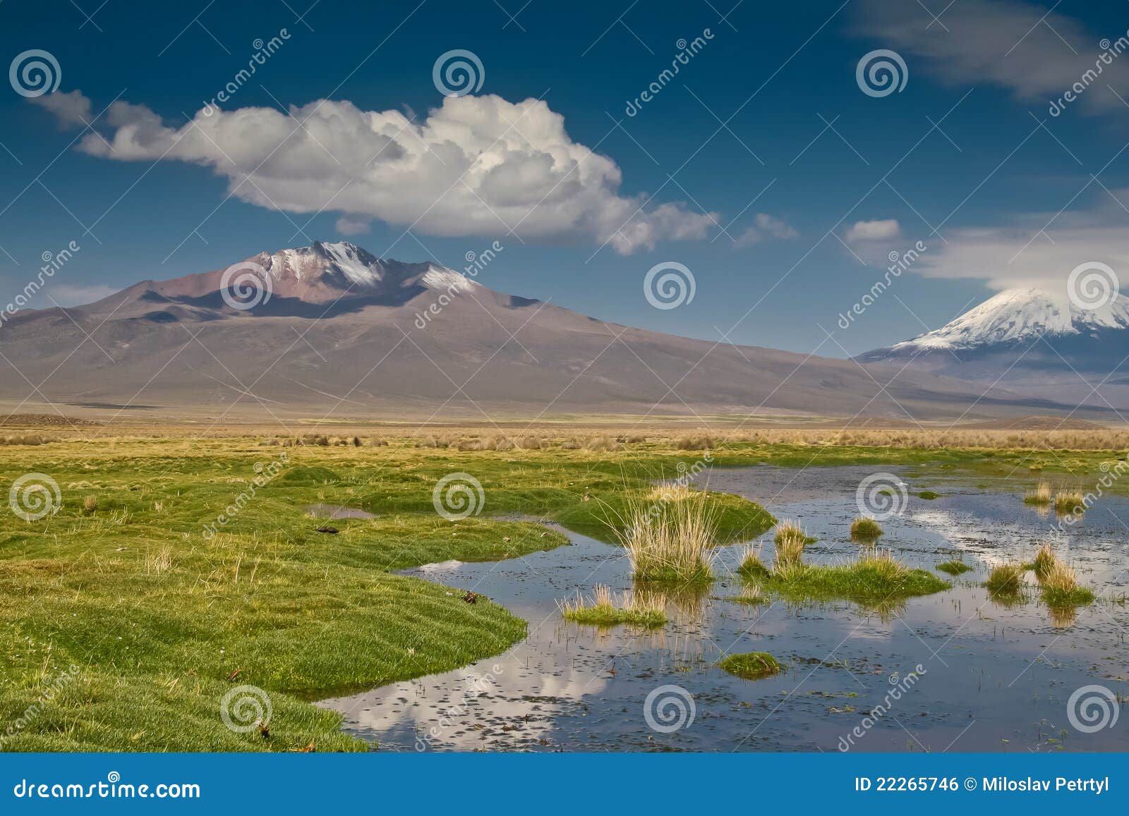 Grassland with volcanos stock photo. Image of park, national - 22265746