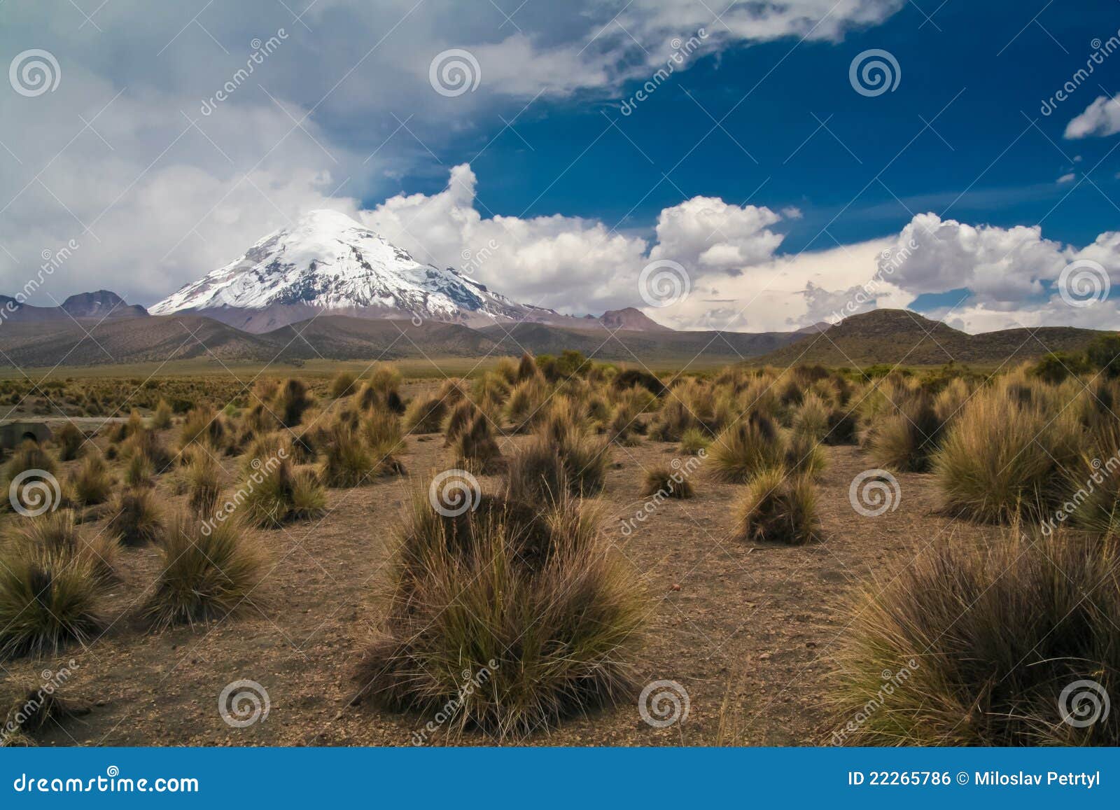 Grassland with volcanos stock photo. Image of park, national - 22265786