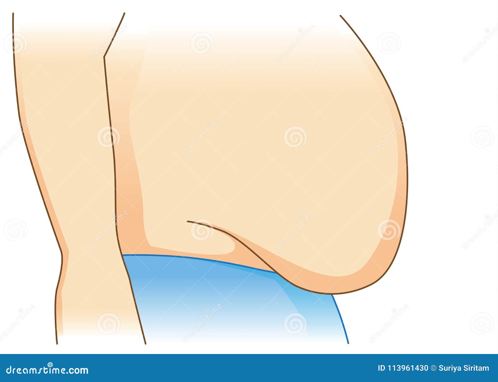 Grasso Addominale in Eccesso Nella Vista Laterale Illustrazione ...