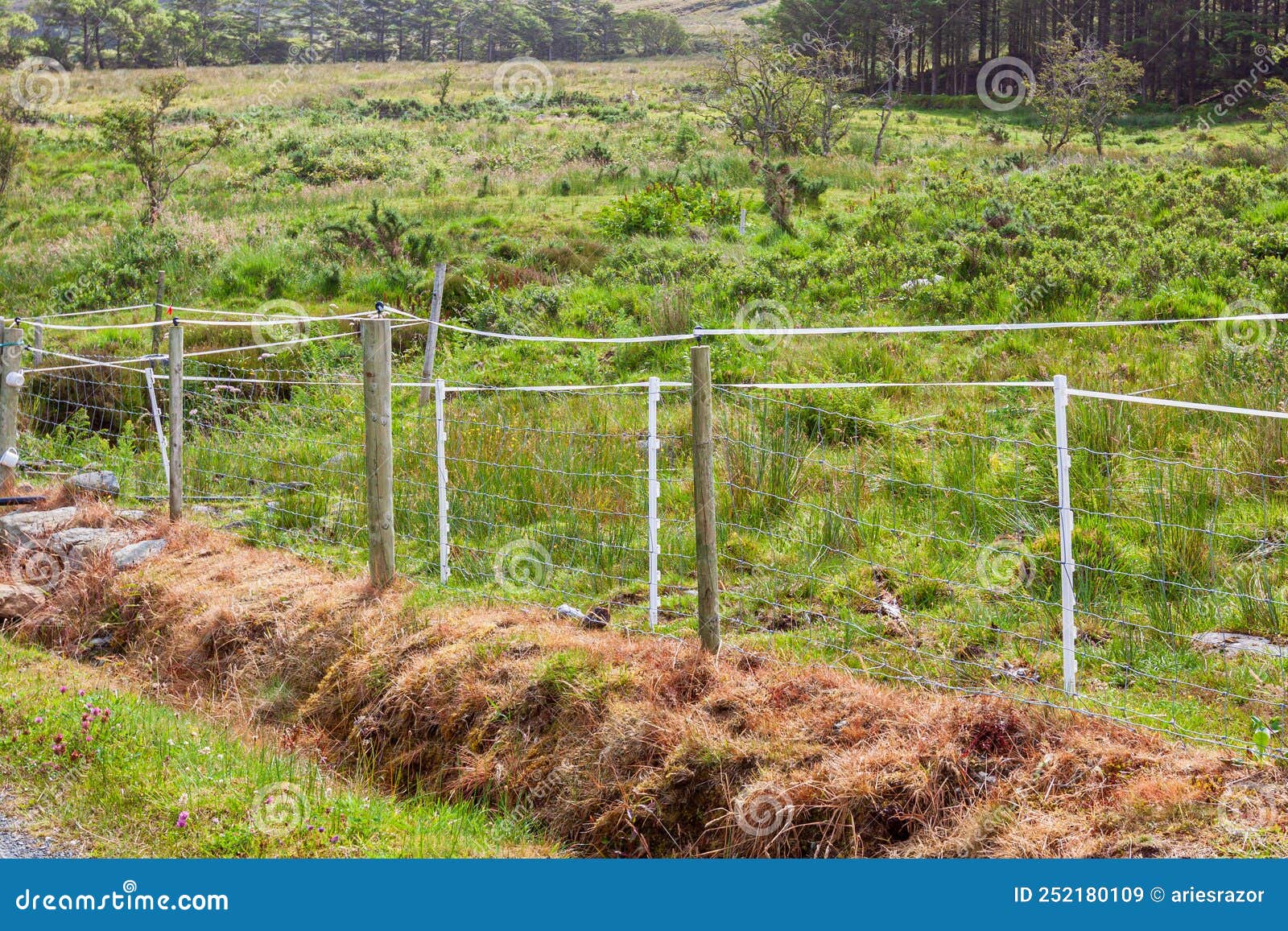 A Grassy Area of the Field is Fenced with Electric Shepherd Wire Stock ...
