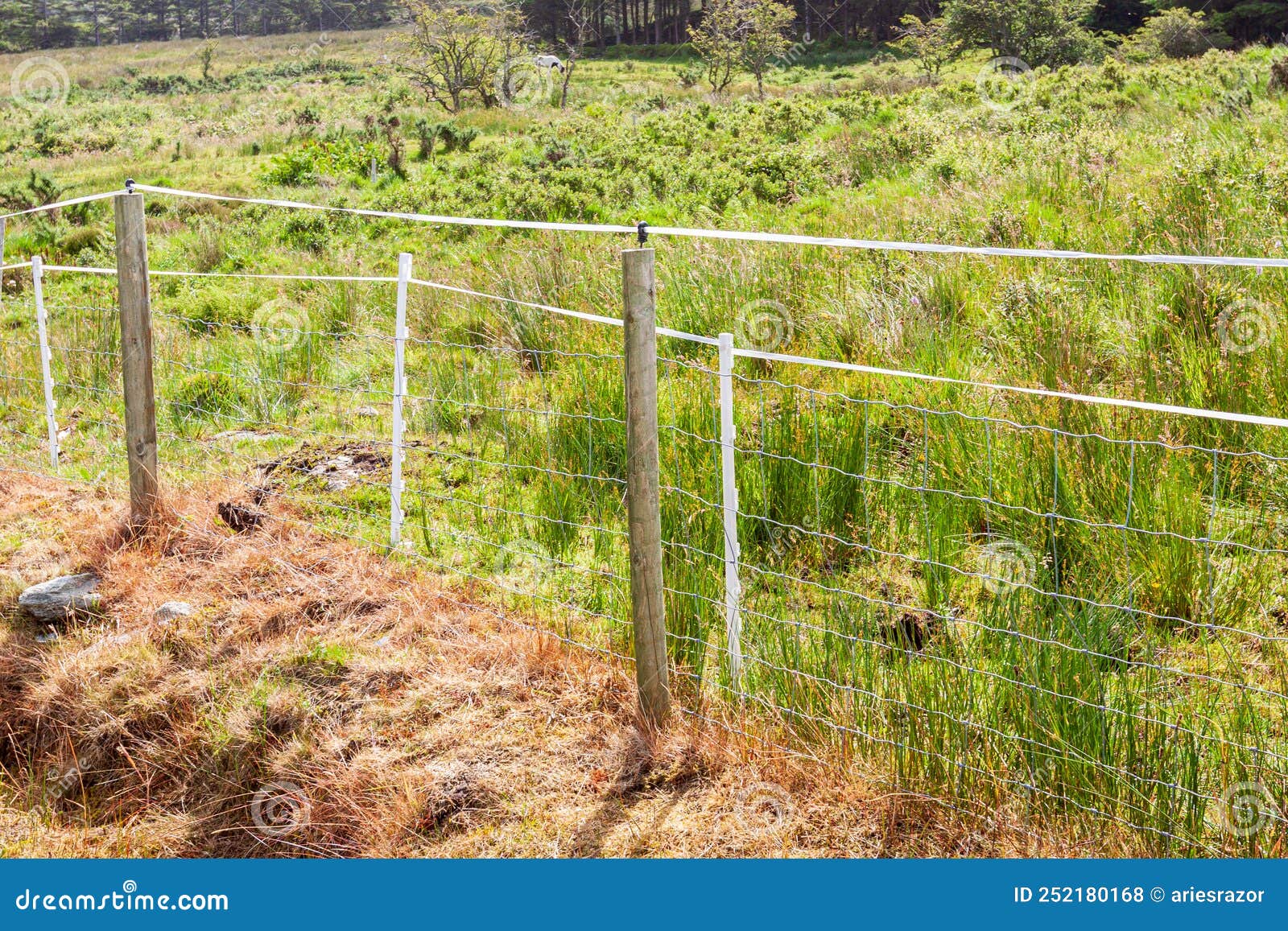 Electric Fenced Area And Cattle Gate Farm Animals Royalty-Free Stock ...