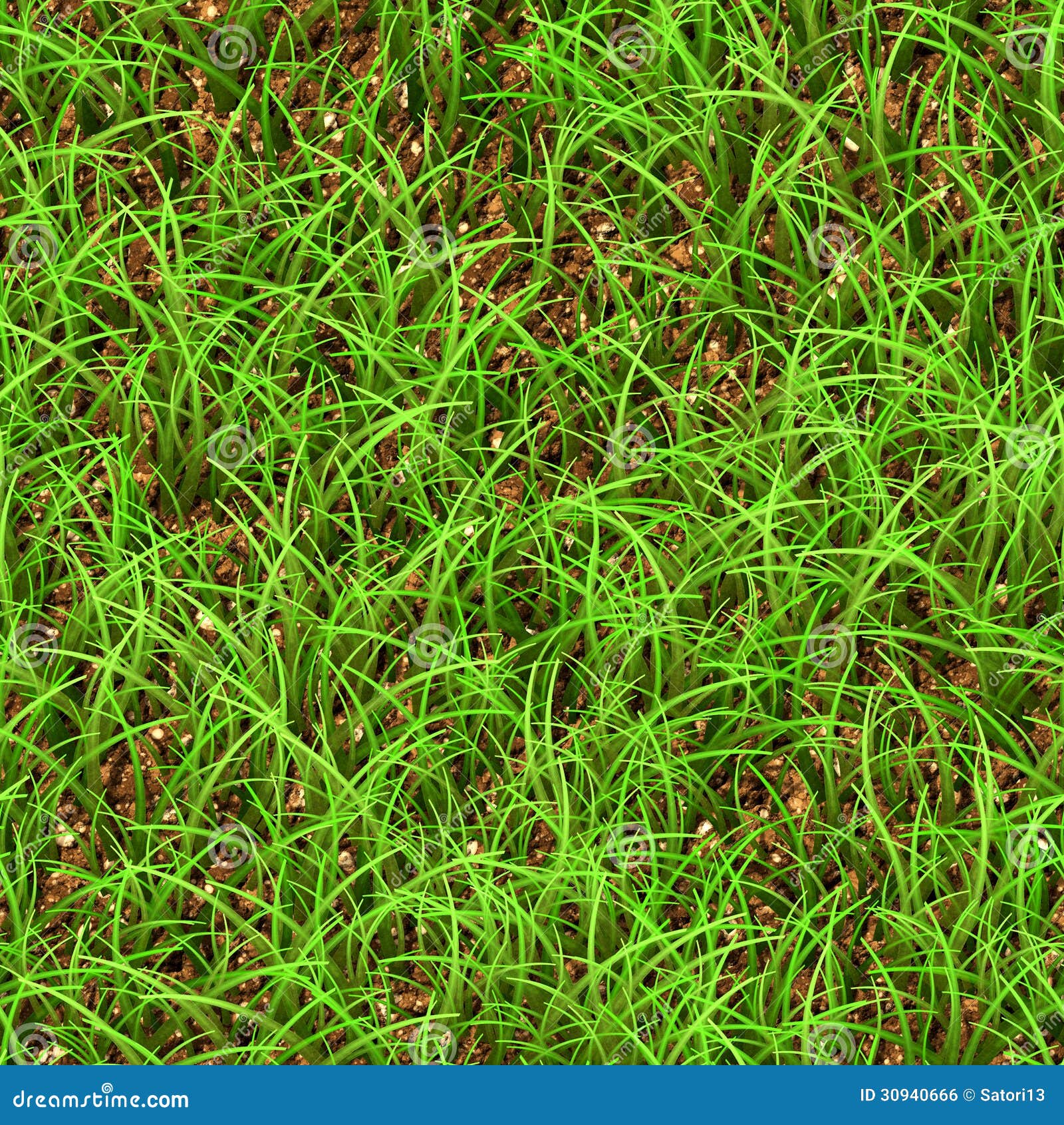Grassy background stock photo. Image of grow, beautiful - 30940666